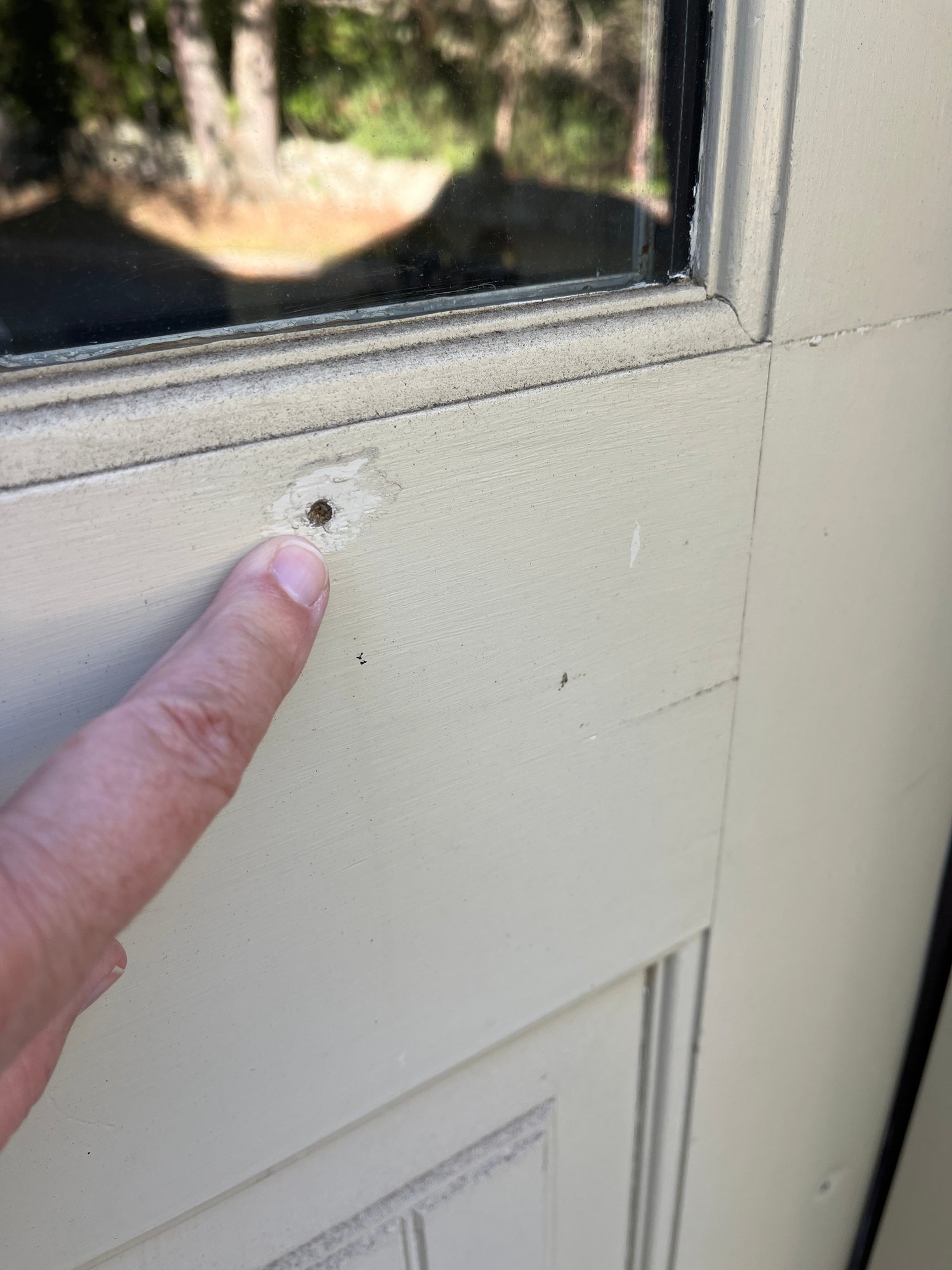 A Pair Of 9 Lite Wood Exterior Doors- Thermopane - Tongue & Groove ...