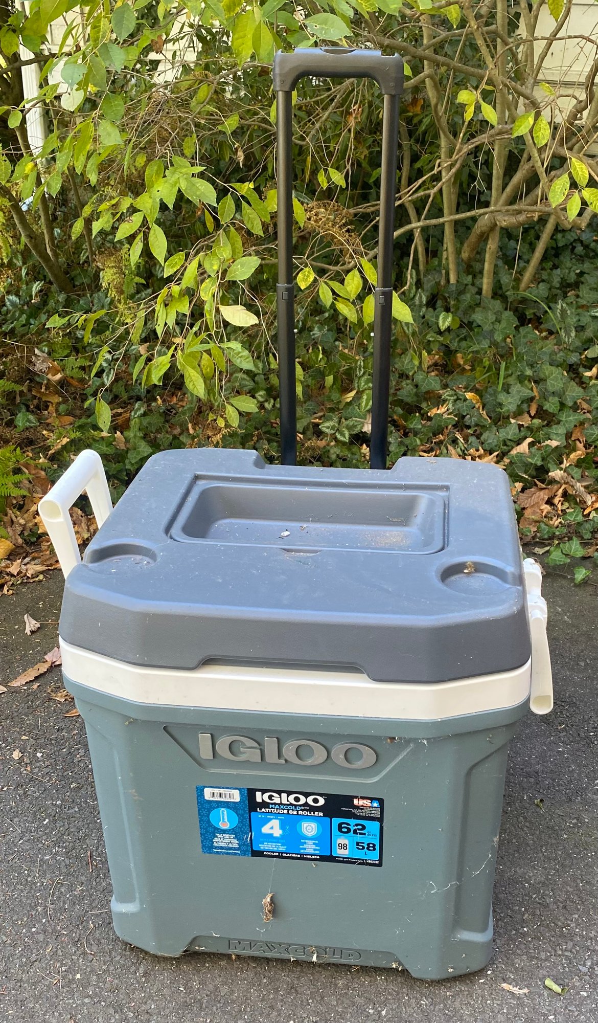 Igloo Cooler With Wheels And Handle #1995155 | Auctionninja.com