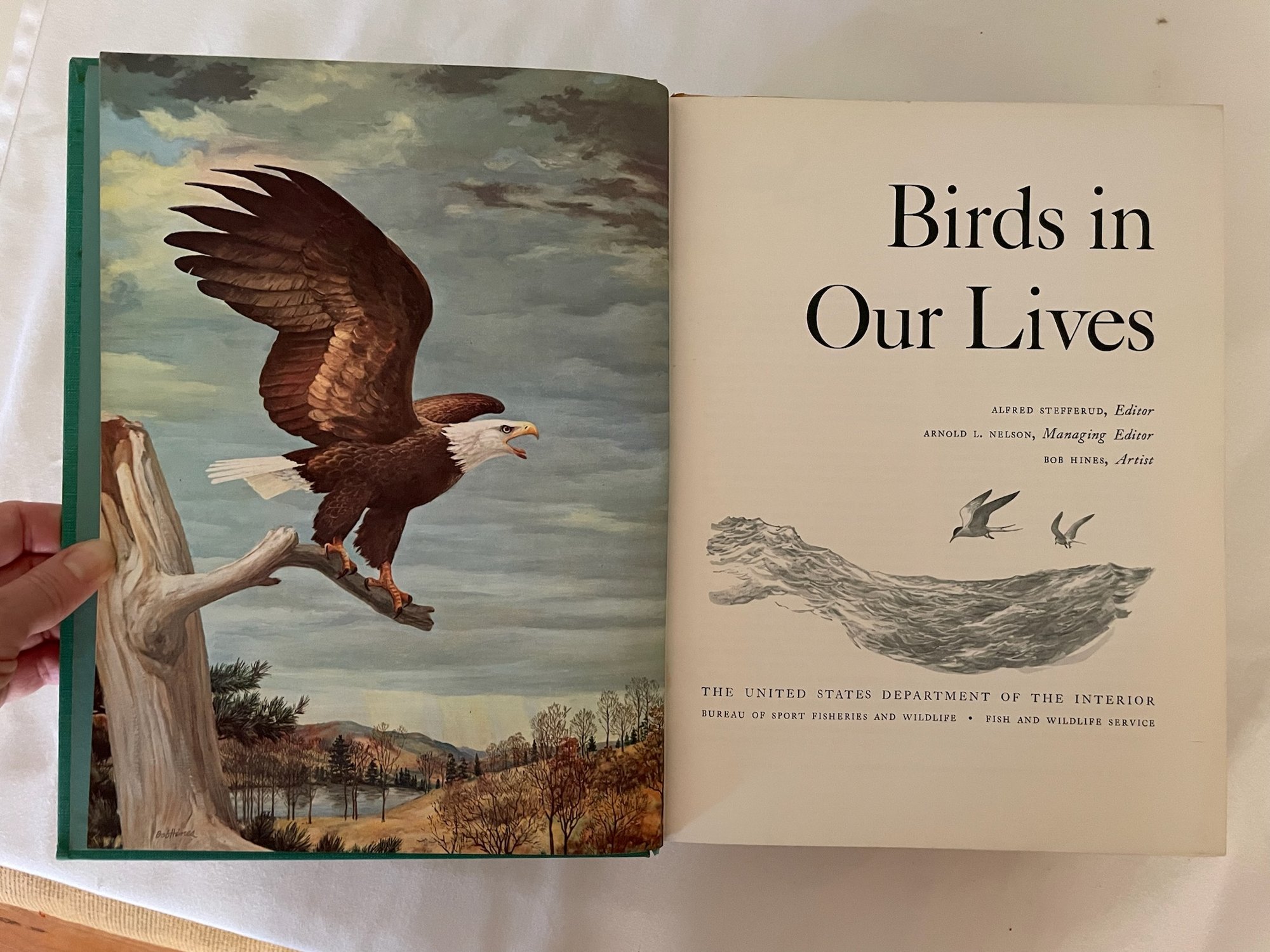 "Birds In Our Lives" With Art By Bob Hines, 2 Copies, 1966 #1961632 ...
