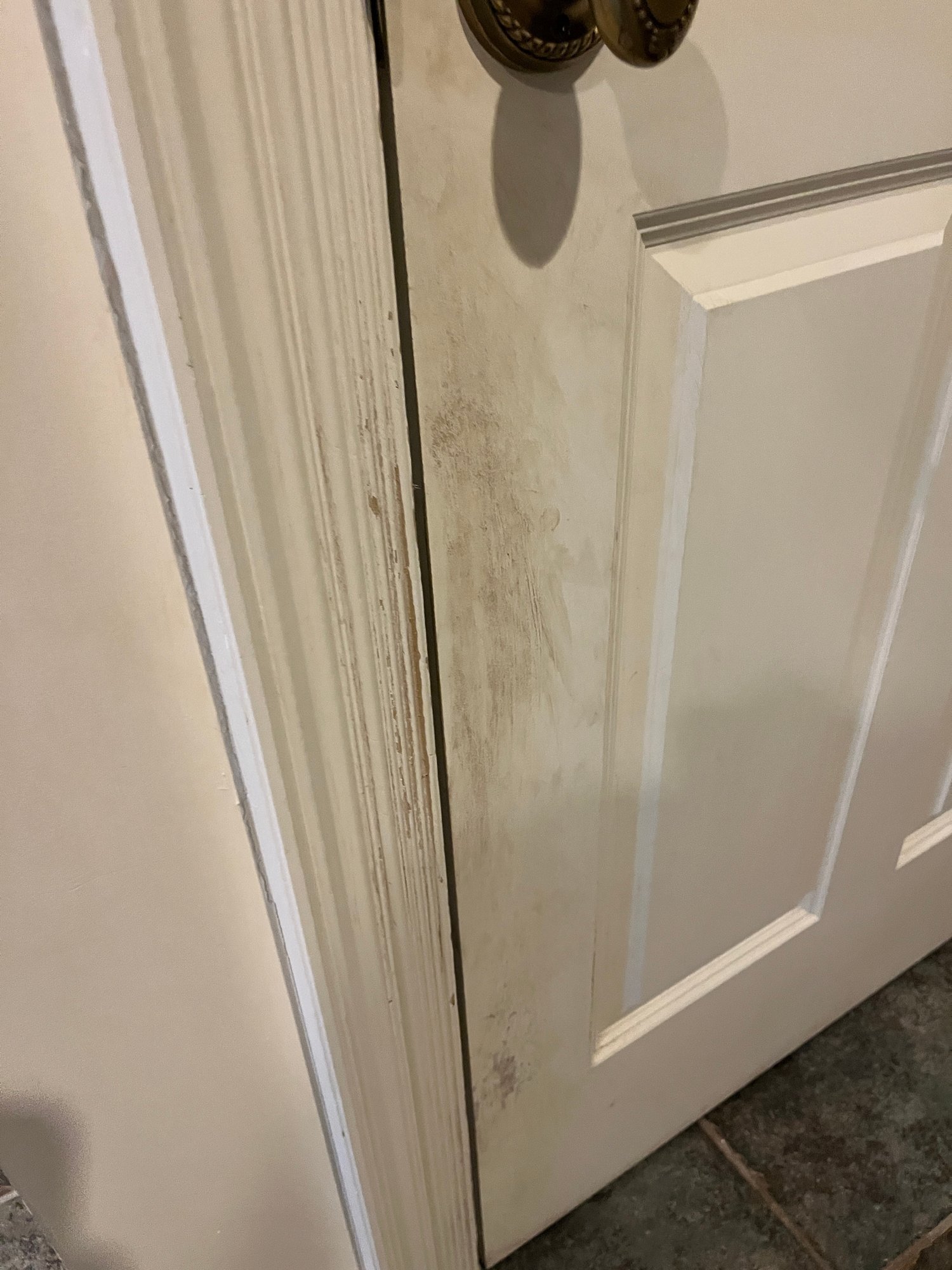 A Collection Of 5 Interior Doors - Includes Frames - Lower Level ...