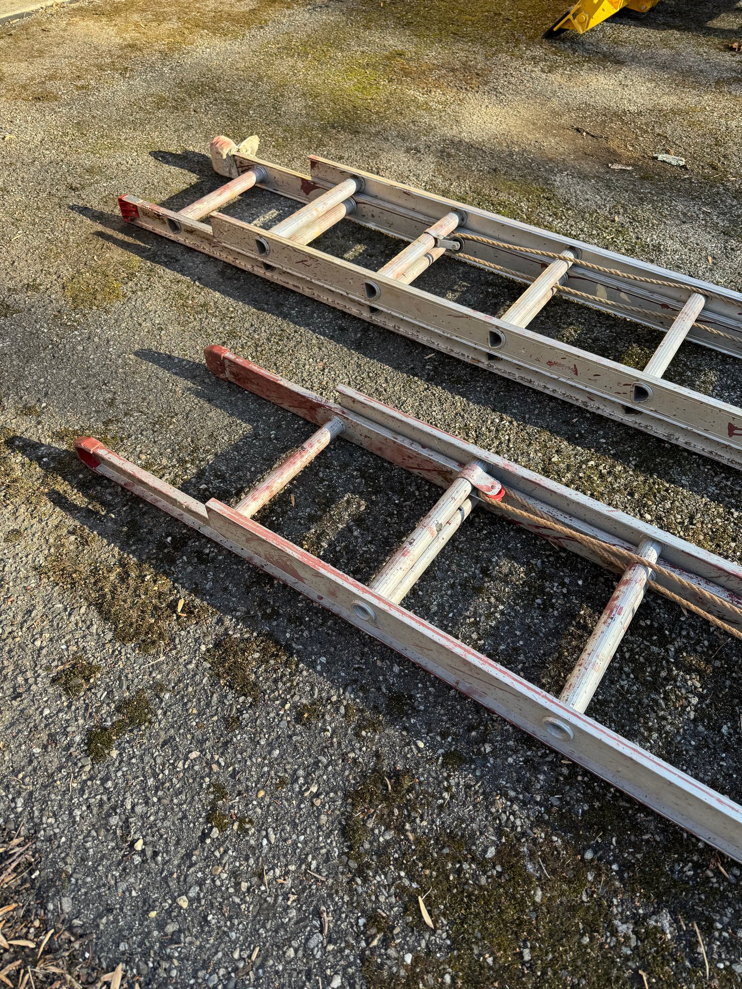Pair Of Aluminum Extension Ladders Including Werner #2252164 ...