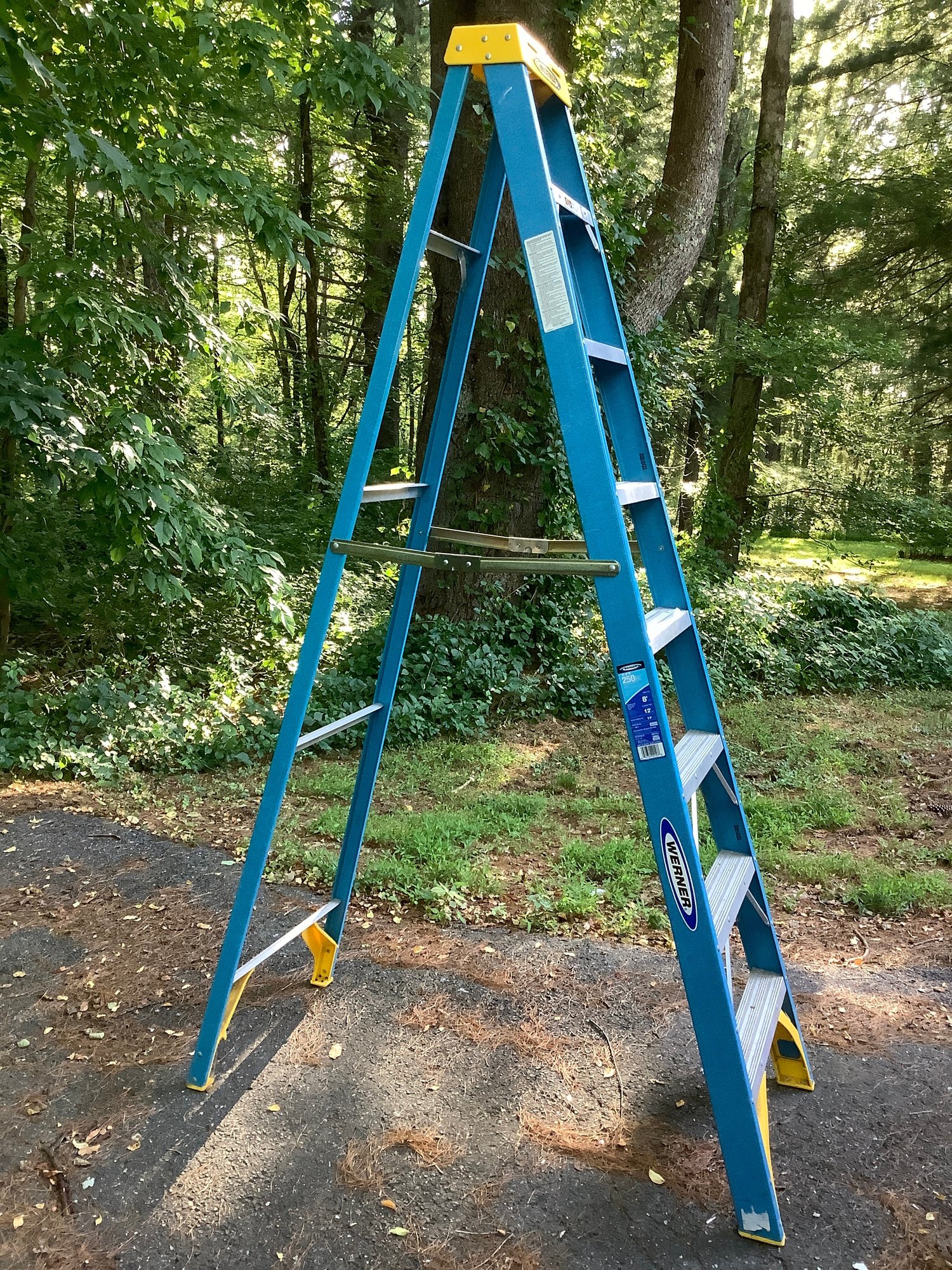 Werner 8' Blue Ladder #2160331 | Auctionninja.com