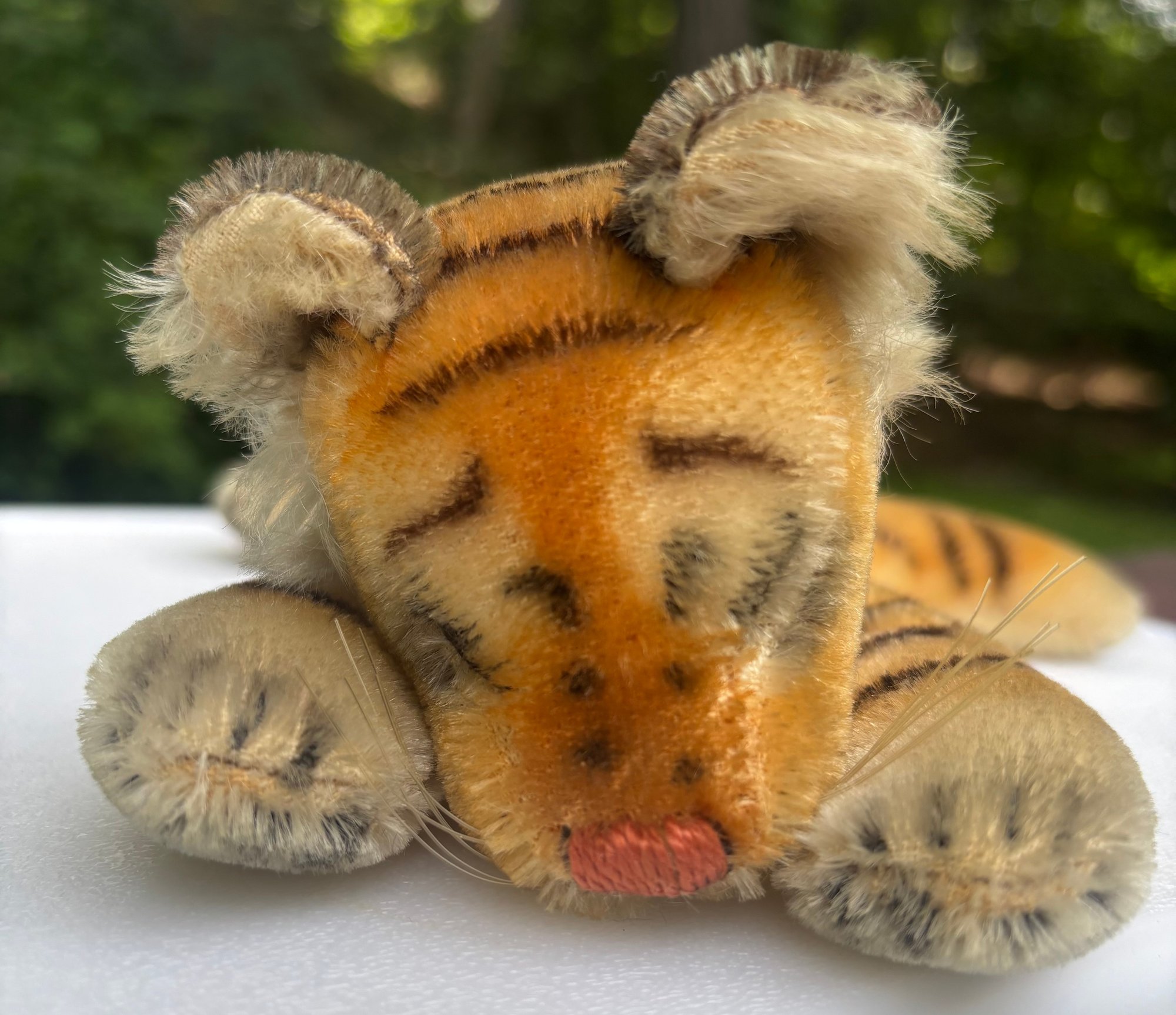 Rare 1956-1961 Steiff Sleeping Tiger "Marke Floppy Tiger ID" Tag ...