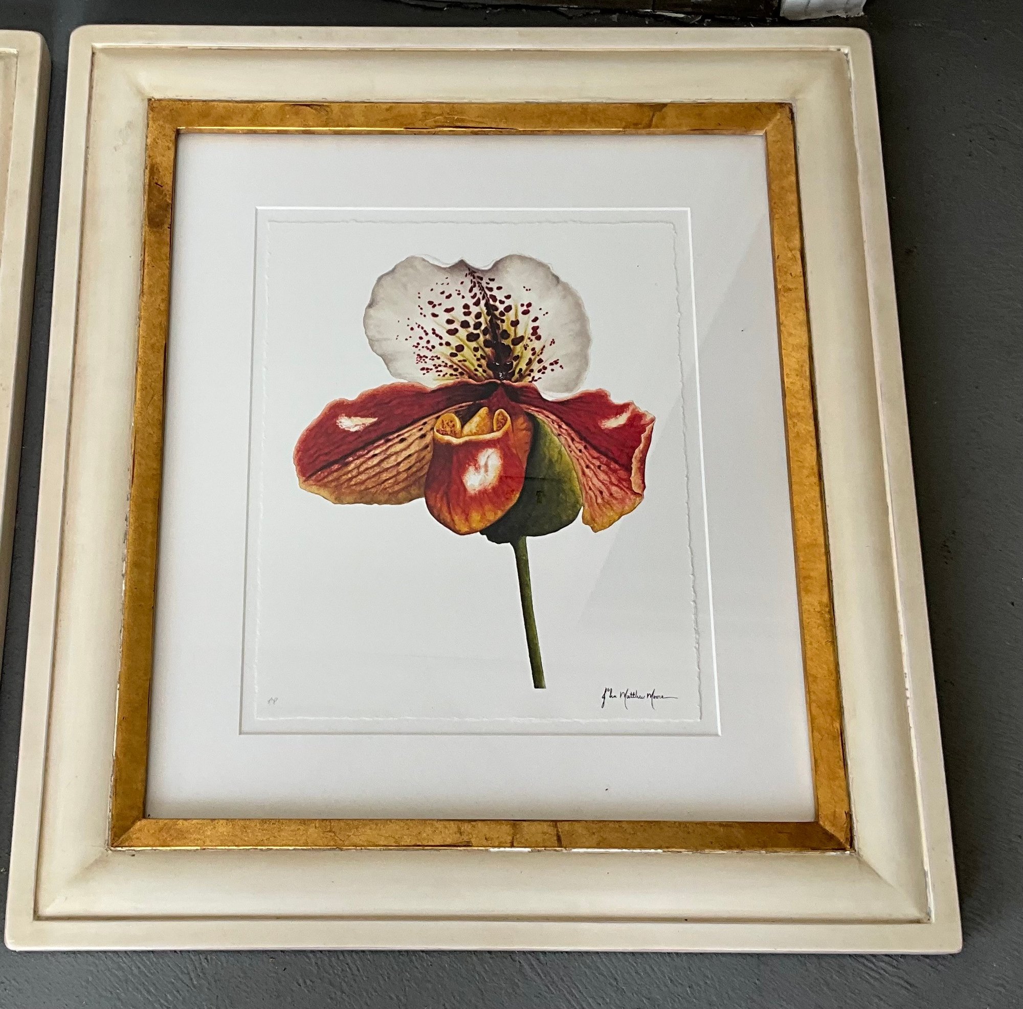 Beautiful Orchid AP ~ John Matthew Moore ~ TROWBRIDGE GALLERIES ...