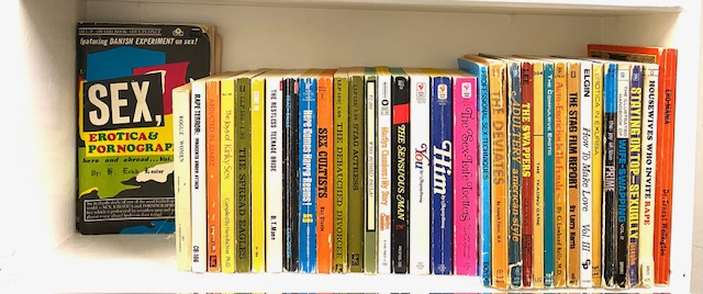 contents-of-shelf-vintage-erotica-novels-books-etc-1916566