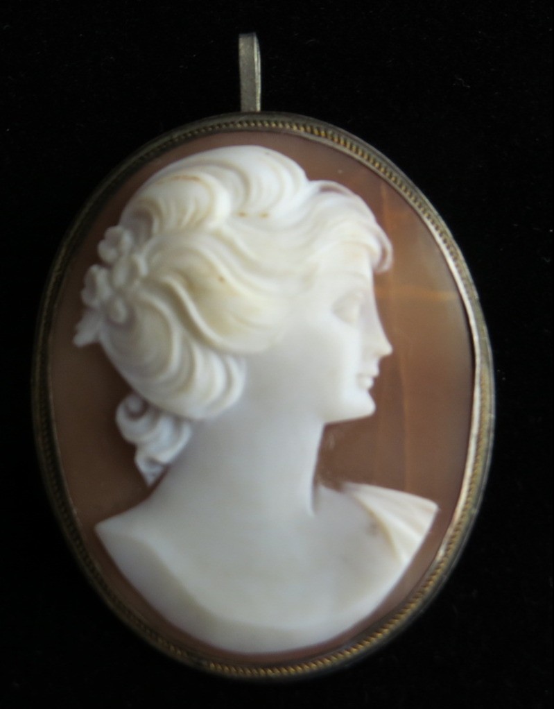 A .900 Silver Shell Cameo Brooch Pendant #2181413 | Auctionninja.com