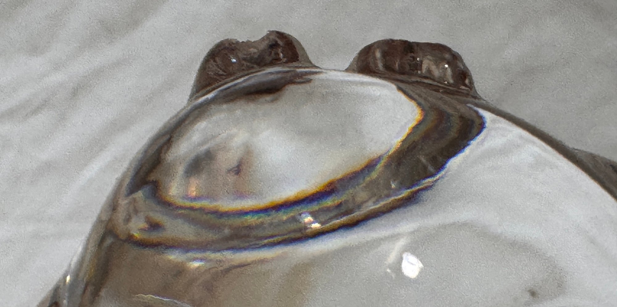 Signed Steuben Crystal Owl #2231215 | Auctionninja.com