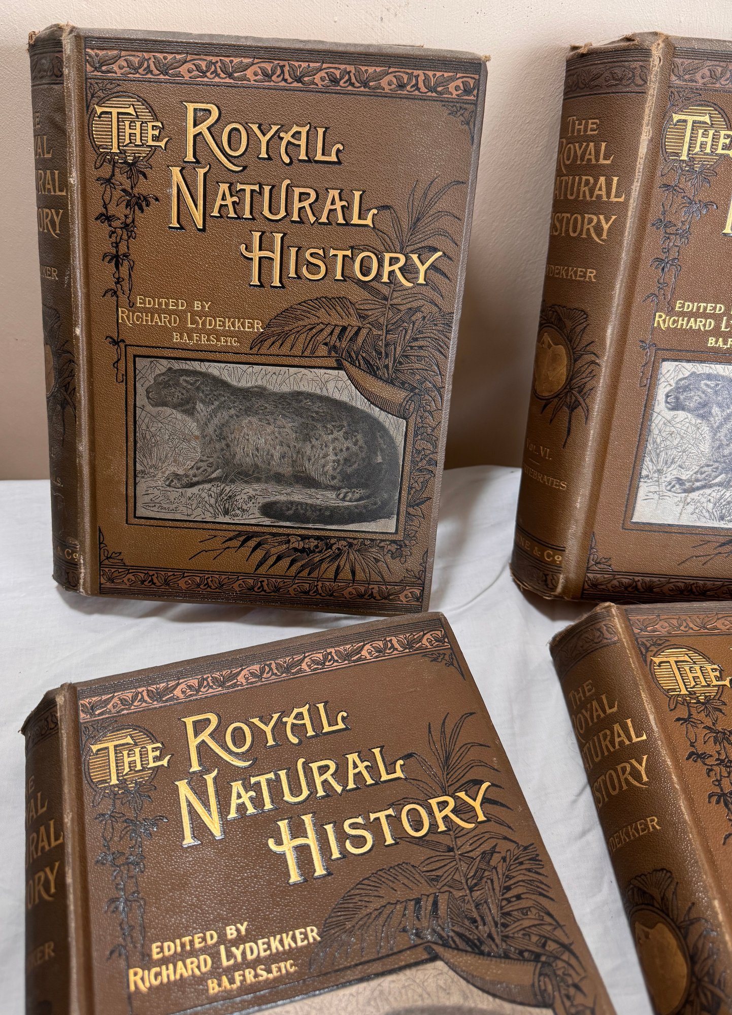 The Royal Natural History Books Volumes One Through Six #2231448 ...