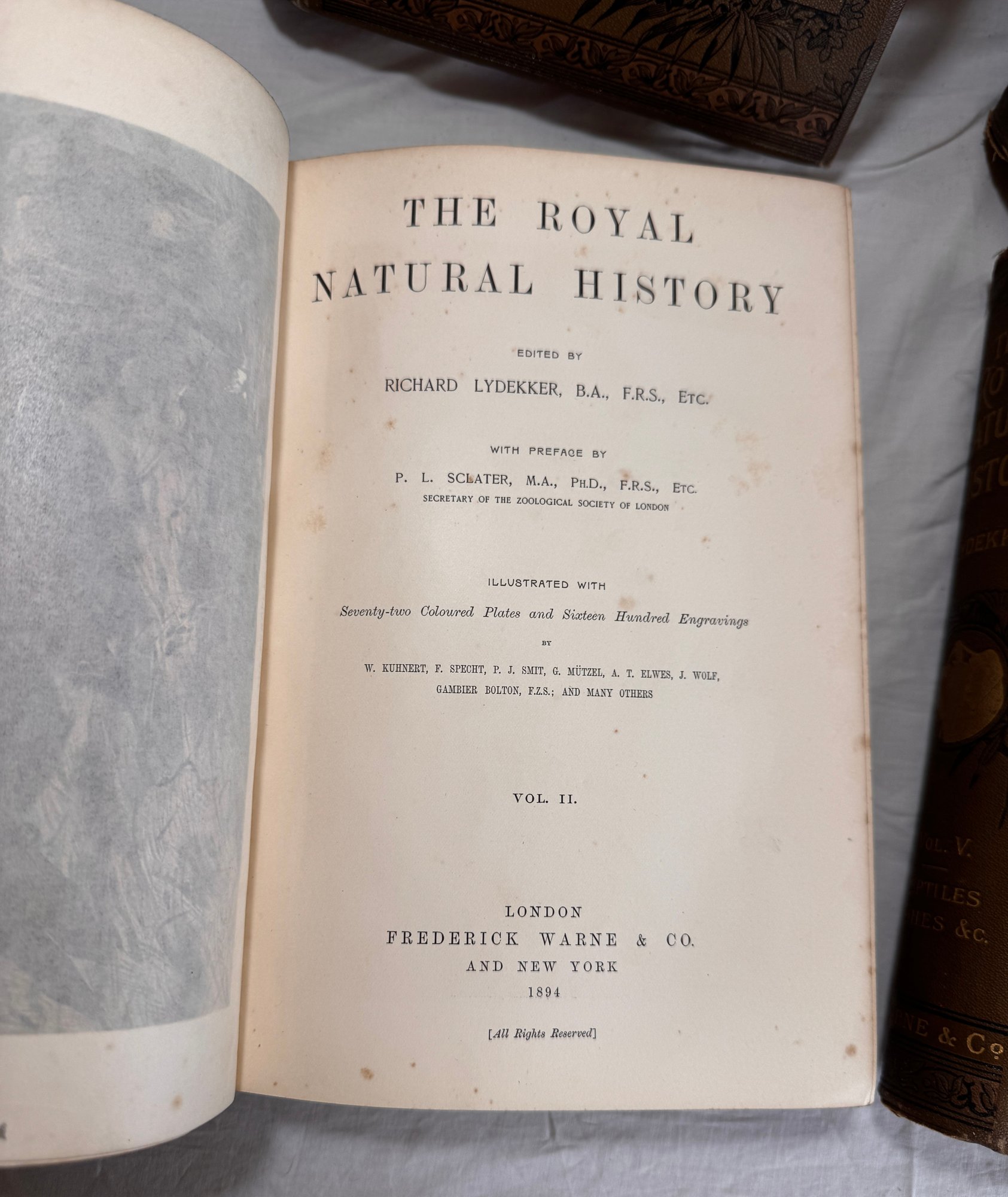 The Royal Natural History Books Volumes One Through Six #2231448 ...