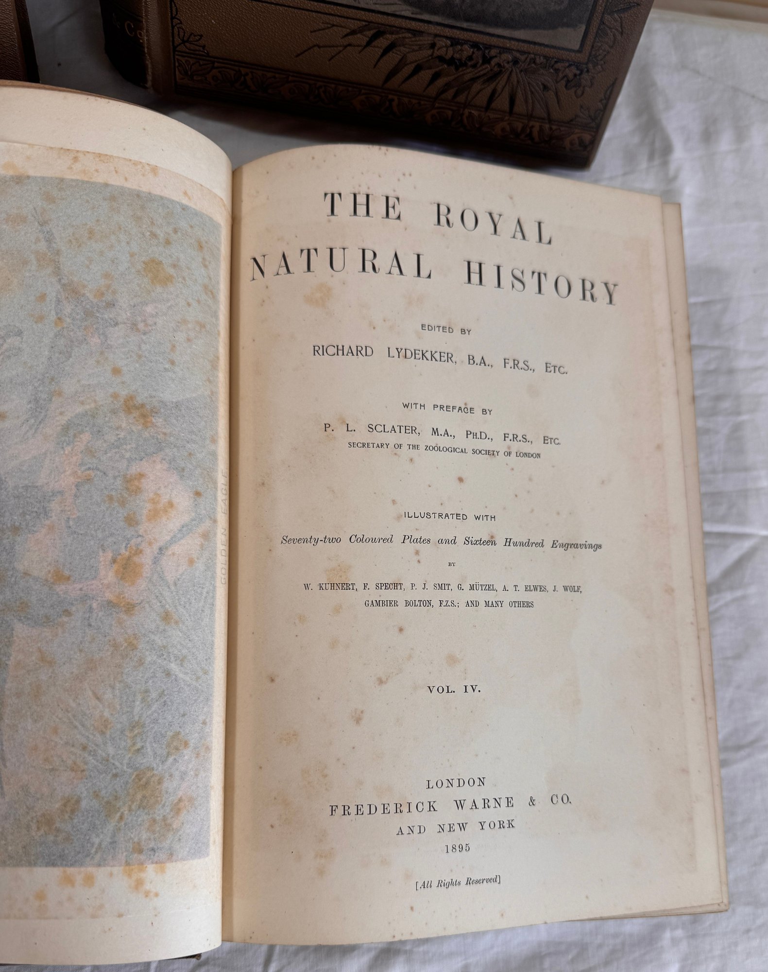 The Royal Natural History Books Volumes One Through Six #2231448 ...