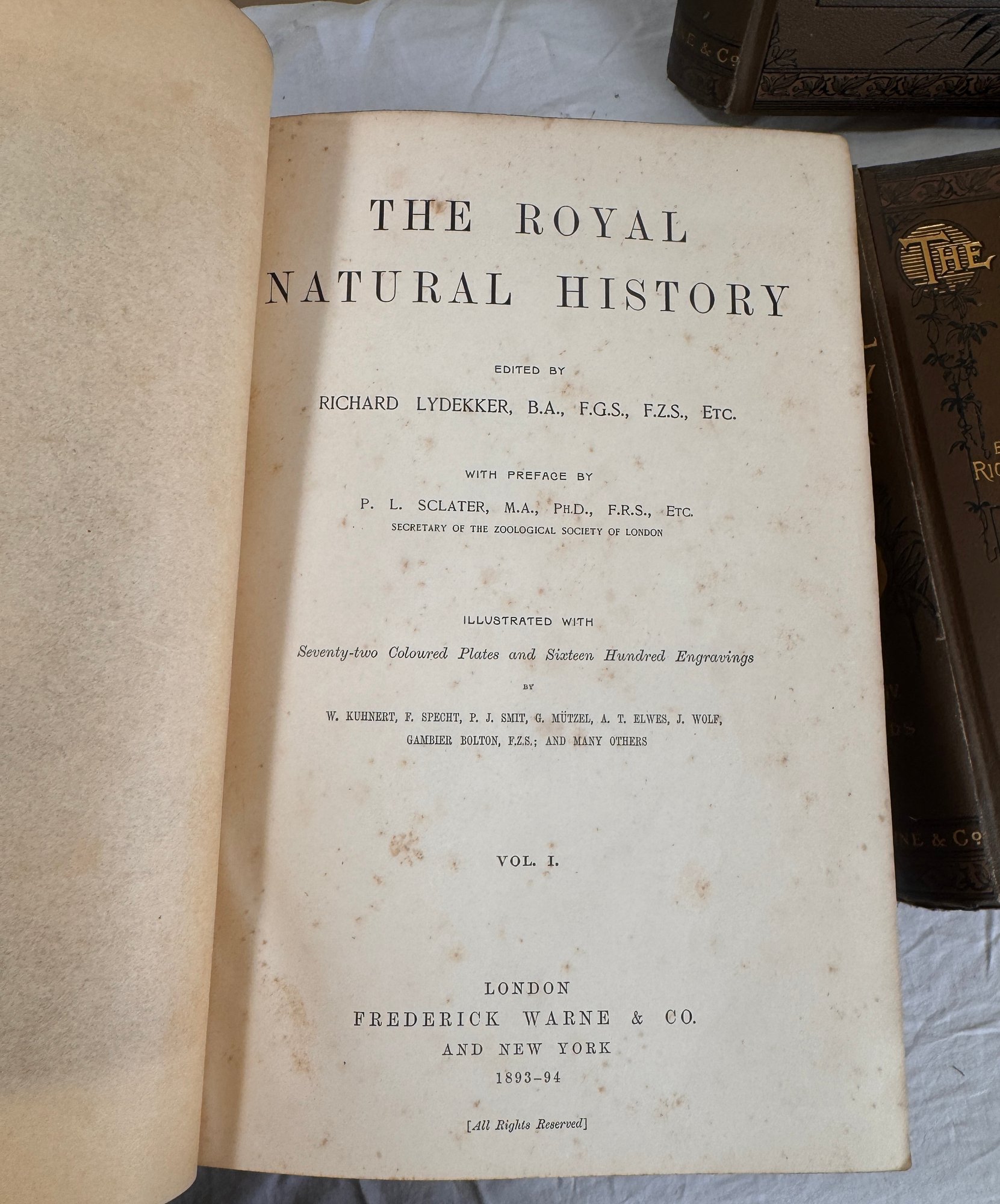 The Royal Natural History Books Volumes One Through Six #2231448 ...