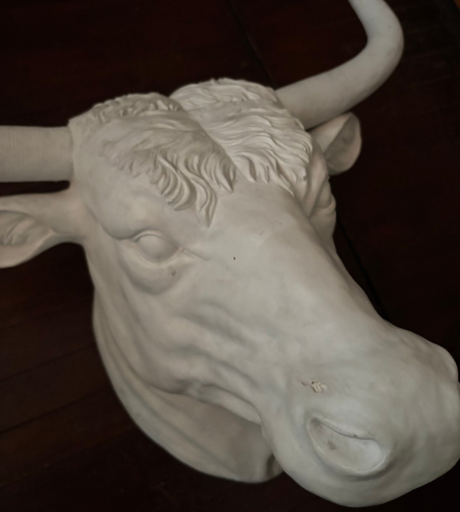 Majestic Bull Head Sculpture #40824269 | Auctionninja.com