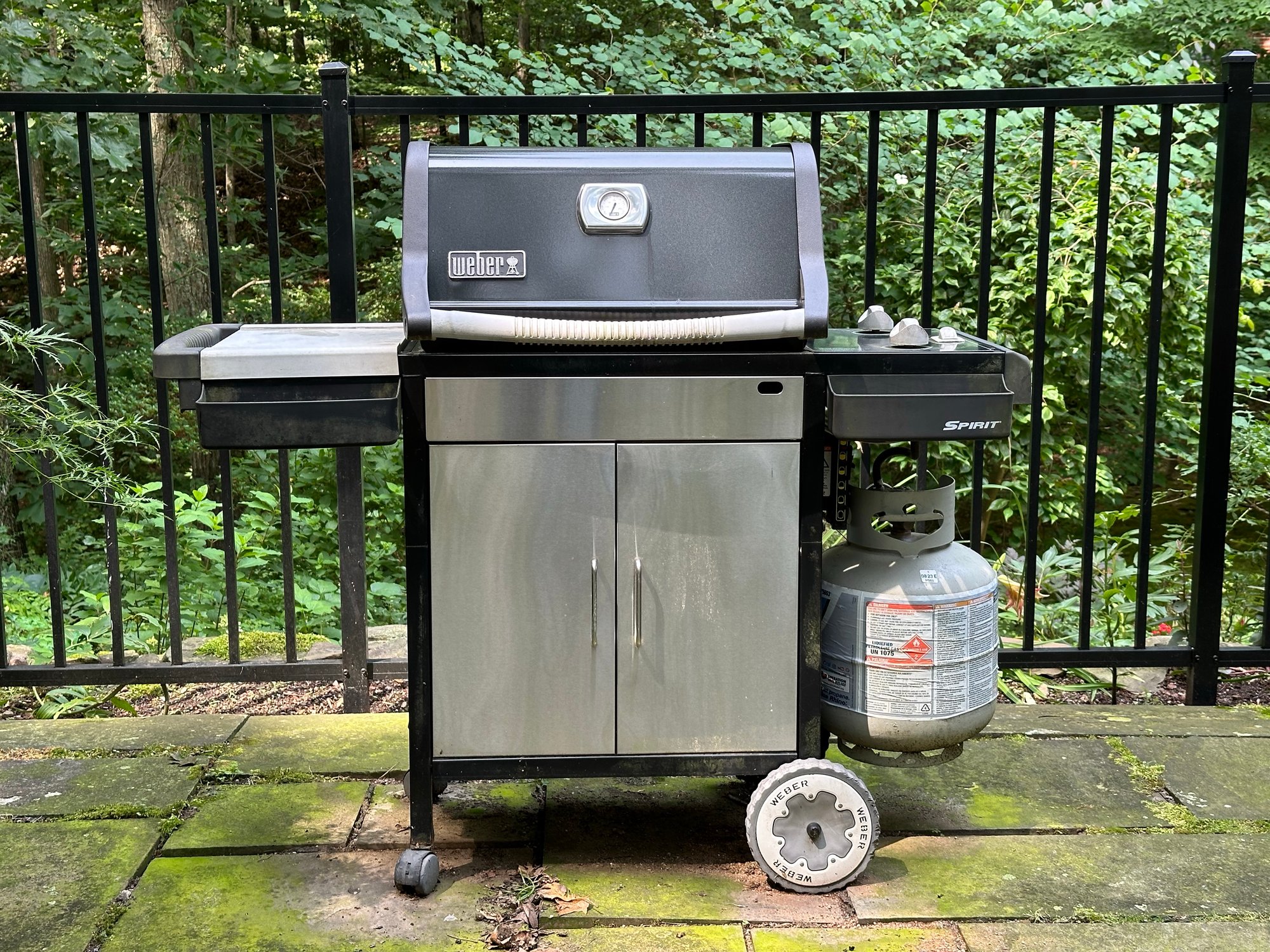 Weber Spirit 2-Burner Gas Grill With Propane Tank #1902241 | Auctionninja.com