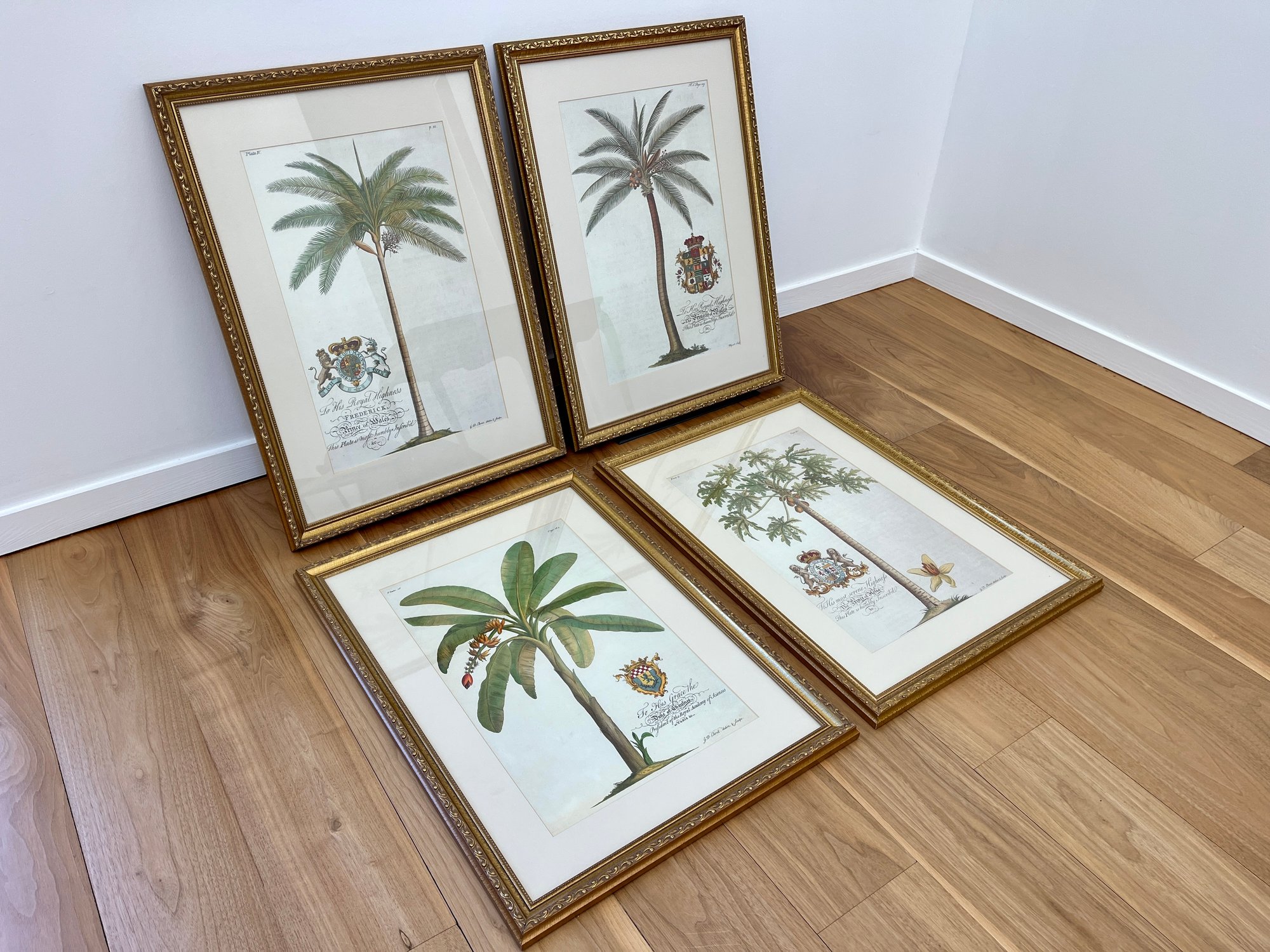 A Grouping Of Antique Reproduction British Colonial Framed Tropical ...