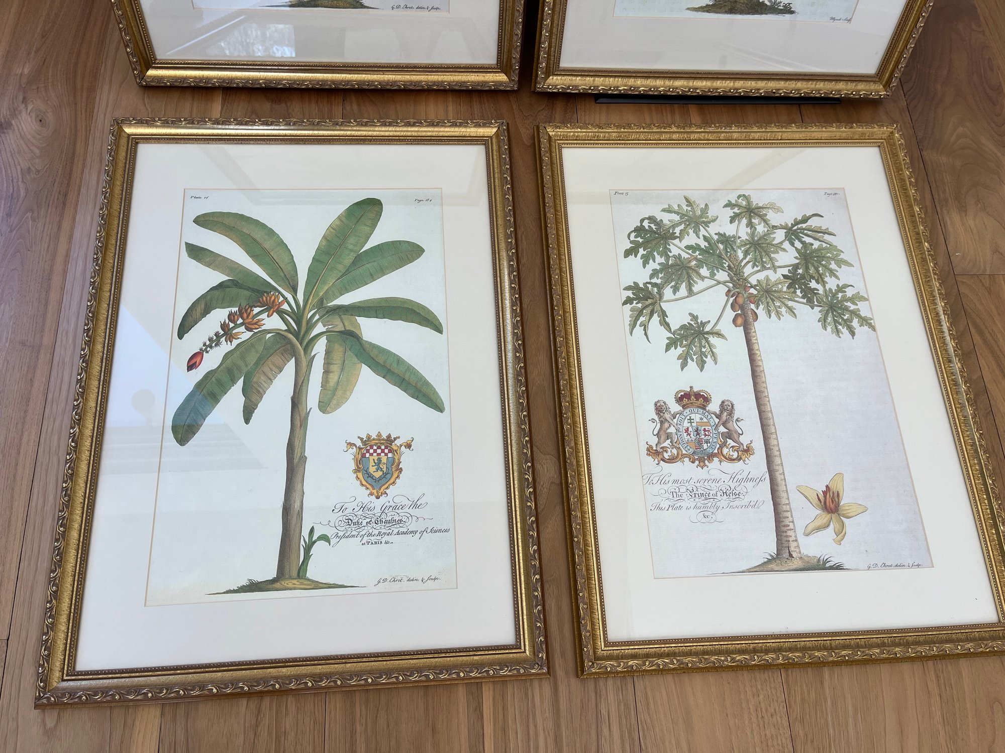 A Grouping Of Antique Reproduction British Colonial Framed Tropical ...