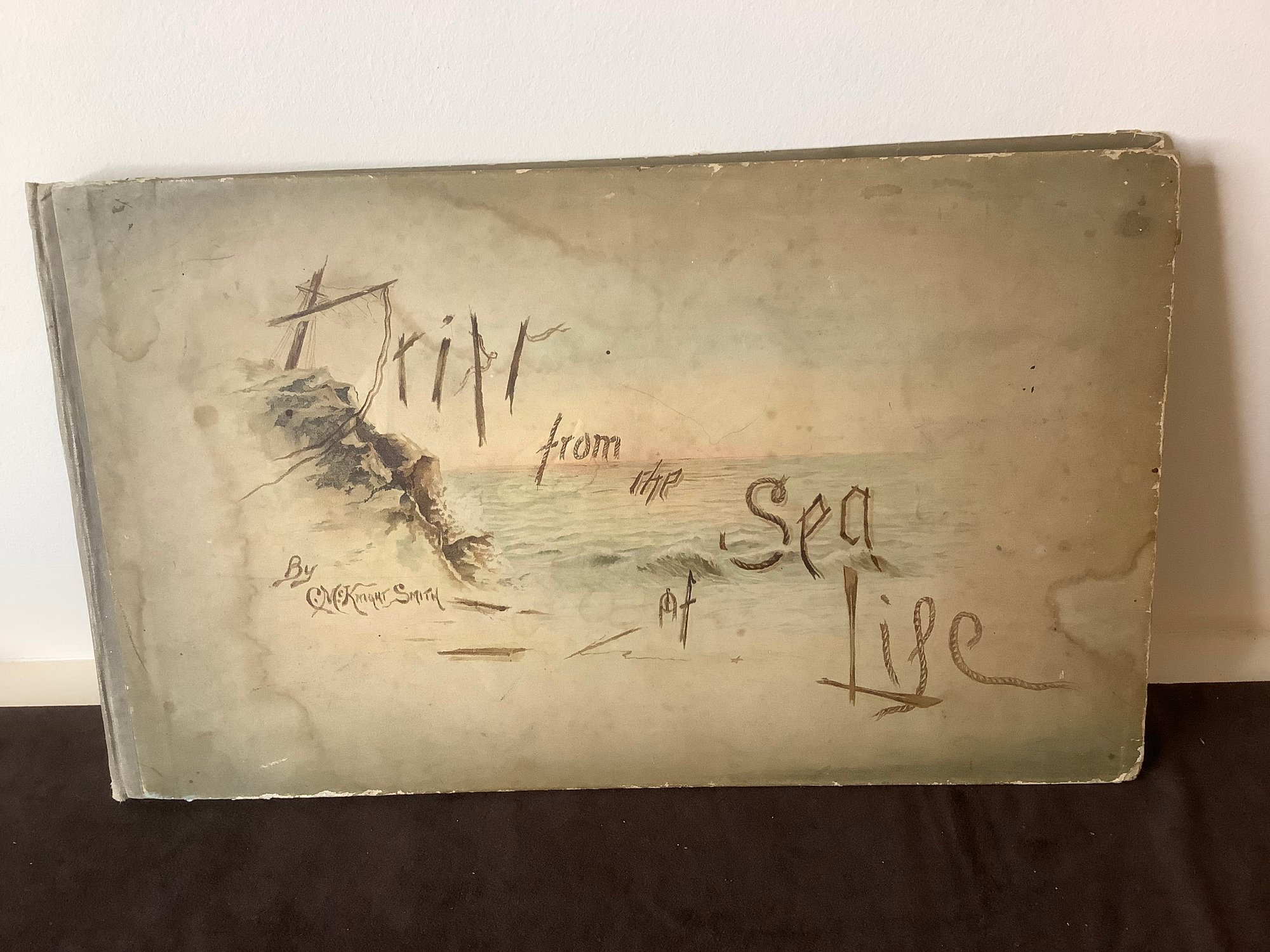 DRIFT FROM THE SEA LIFE BOOK #1885940 | Auctionninja.com