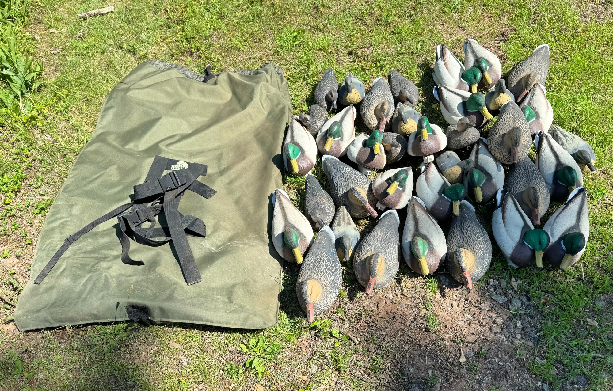 Redhead Duck Decoys With Matching Carrying Bag #2145649 | Auctionninja.com