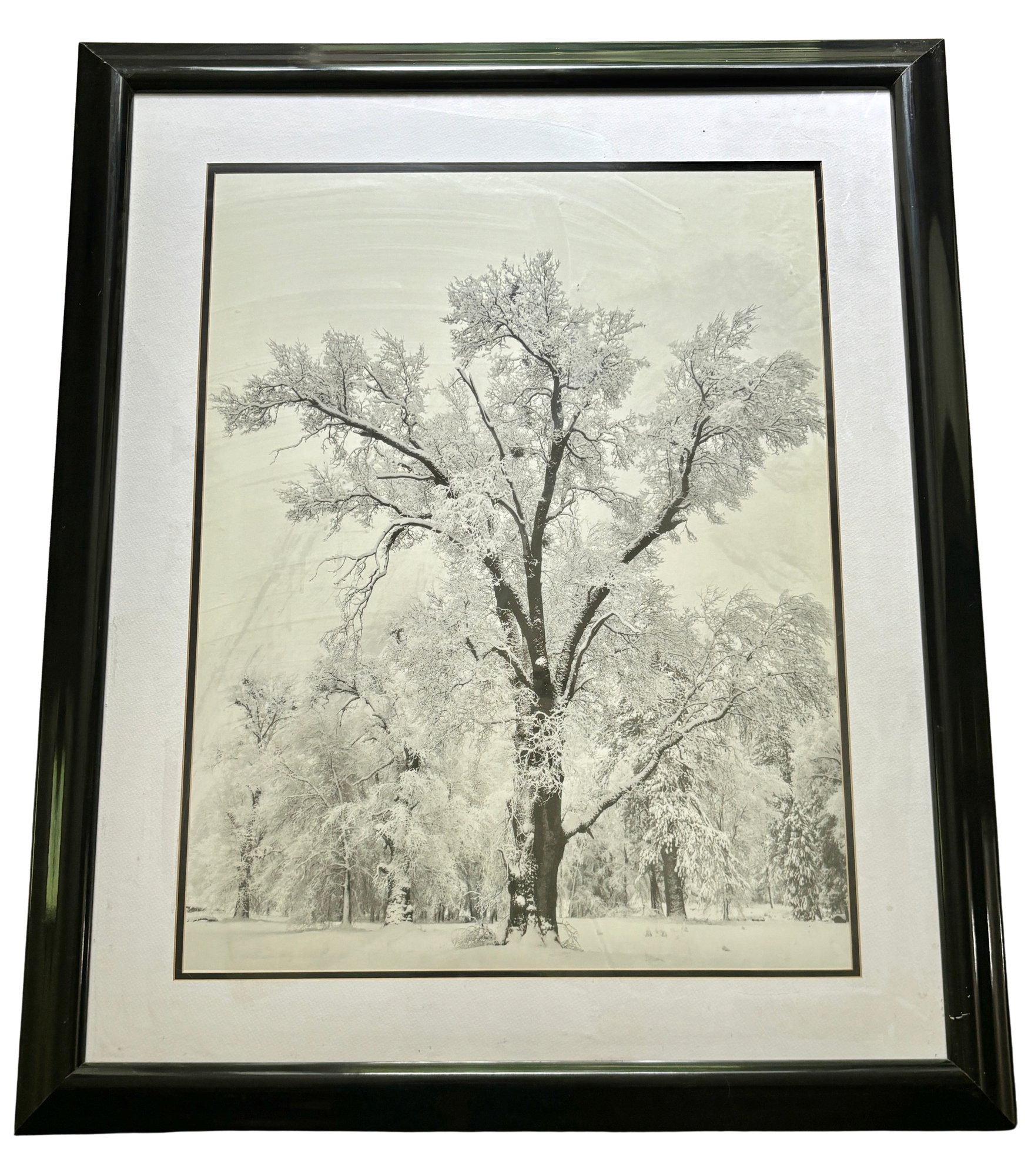 Ansel Adams "Oak Tree Snow Storm" Offset Lithograph #1923699 ...