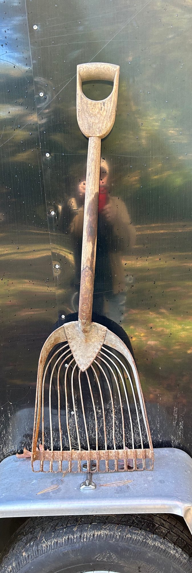 VERY COOL Early Maine Potato Rake #1988069 | Auctionninja.com