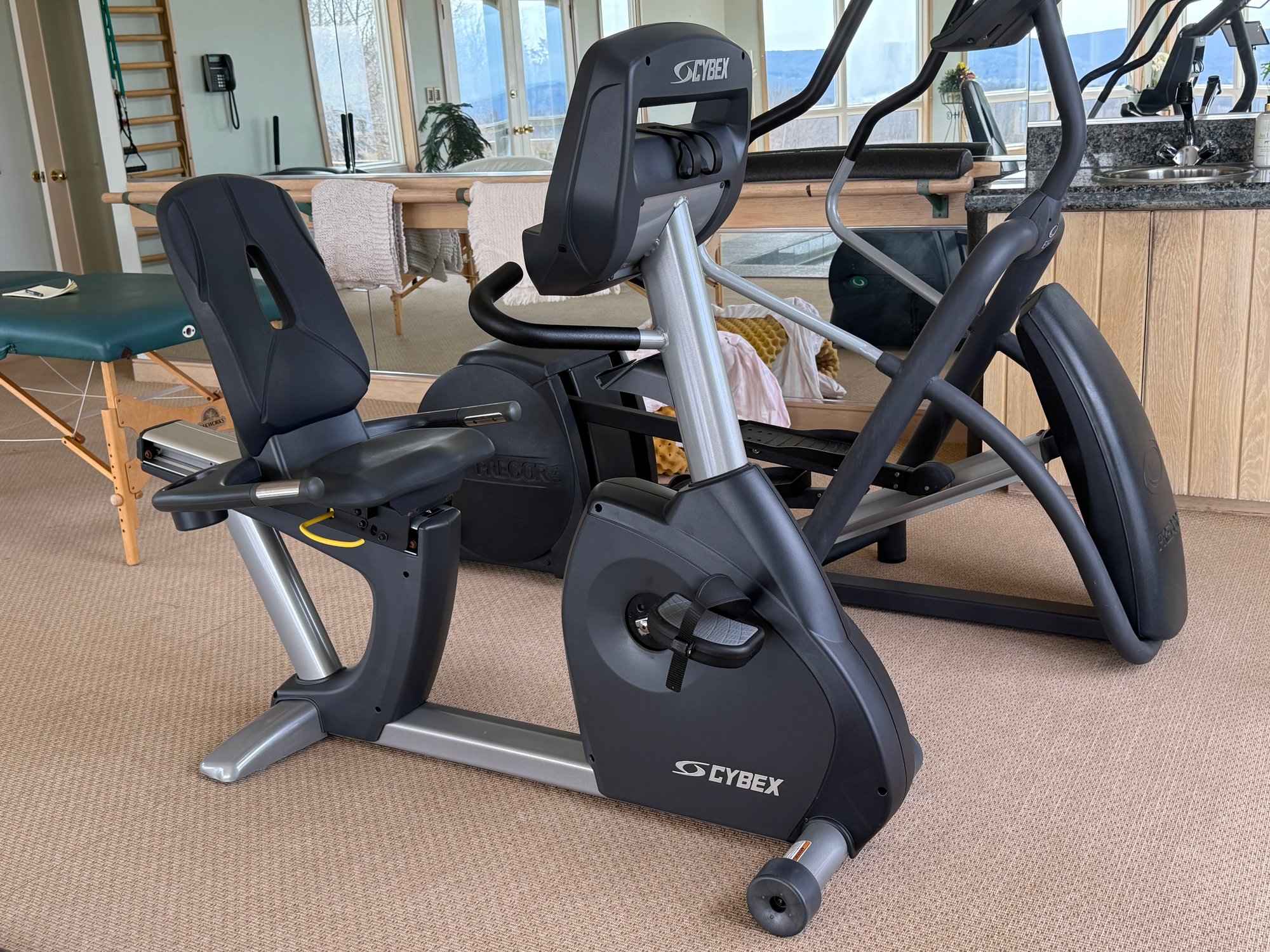 A Cybex 525R Exercise Bike #40834097 | Auctionninja.com