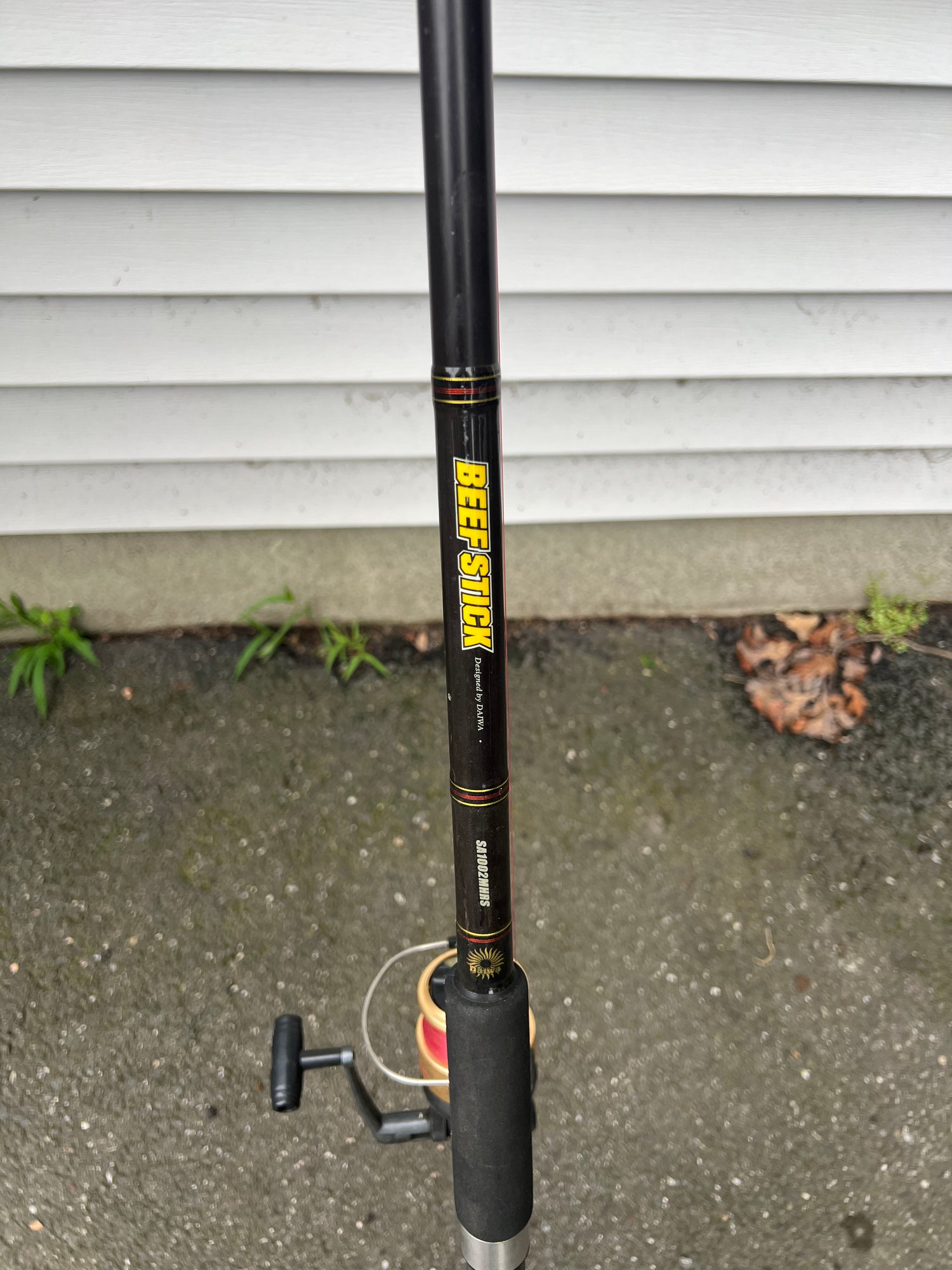 Beef Stick 10' Fishing Rod And Reel #1913337 | Auctionninja.com