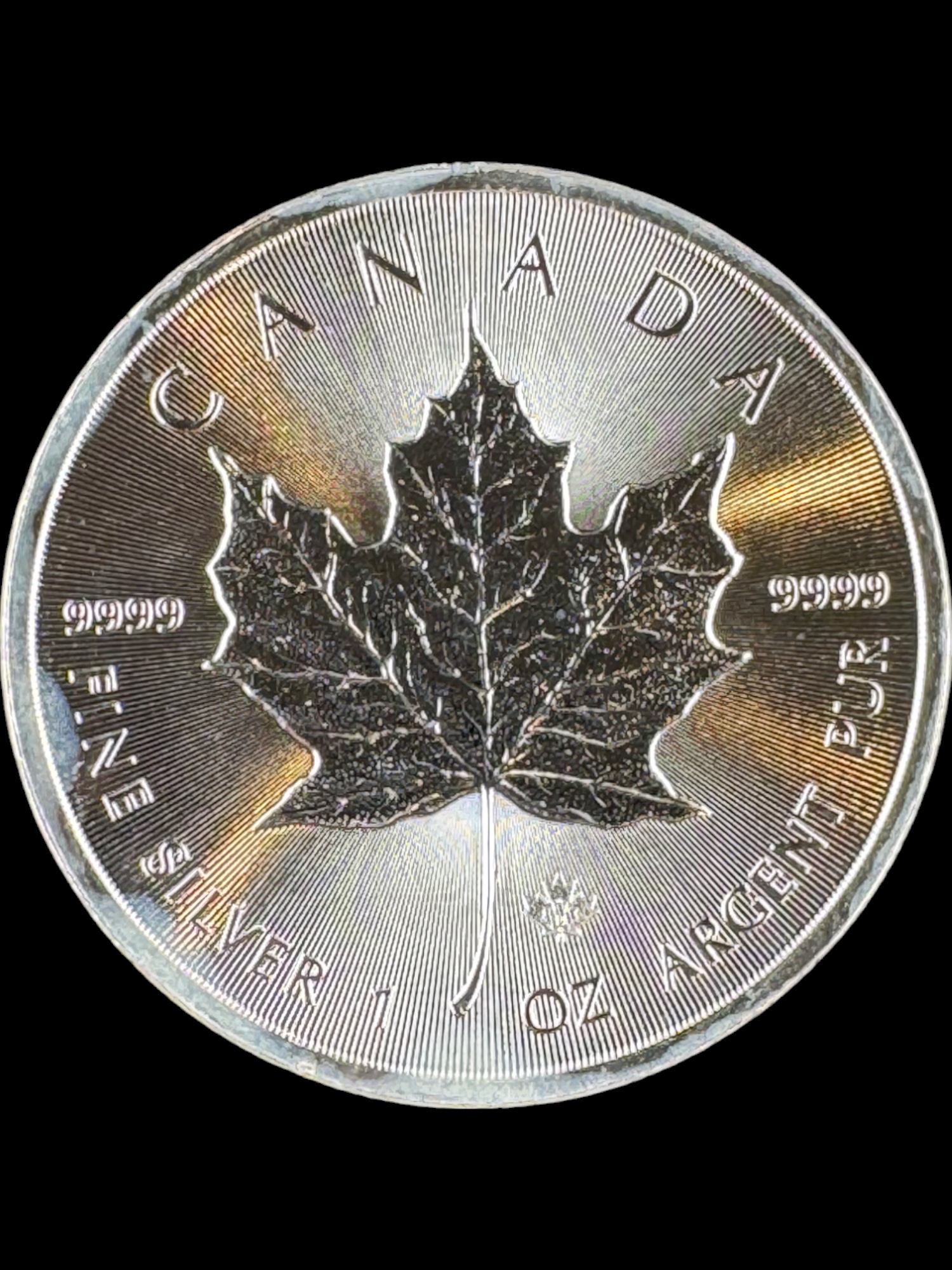 Beautiful 2025 1 Ounce .9999 Fine Silver 5 Dollar King Charles Maple ...