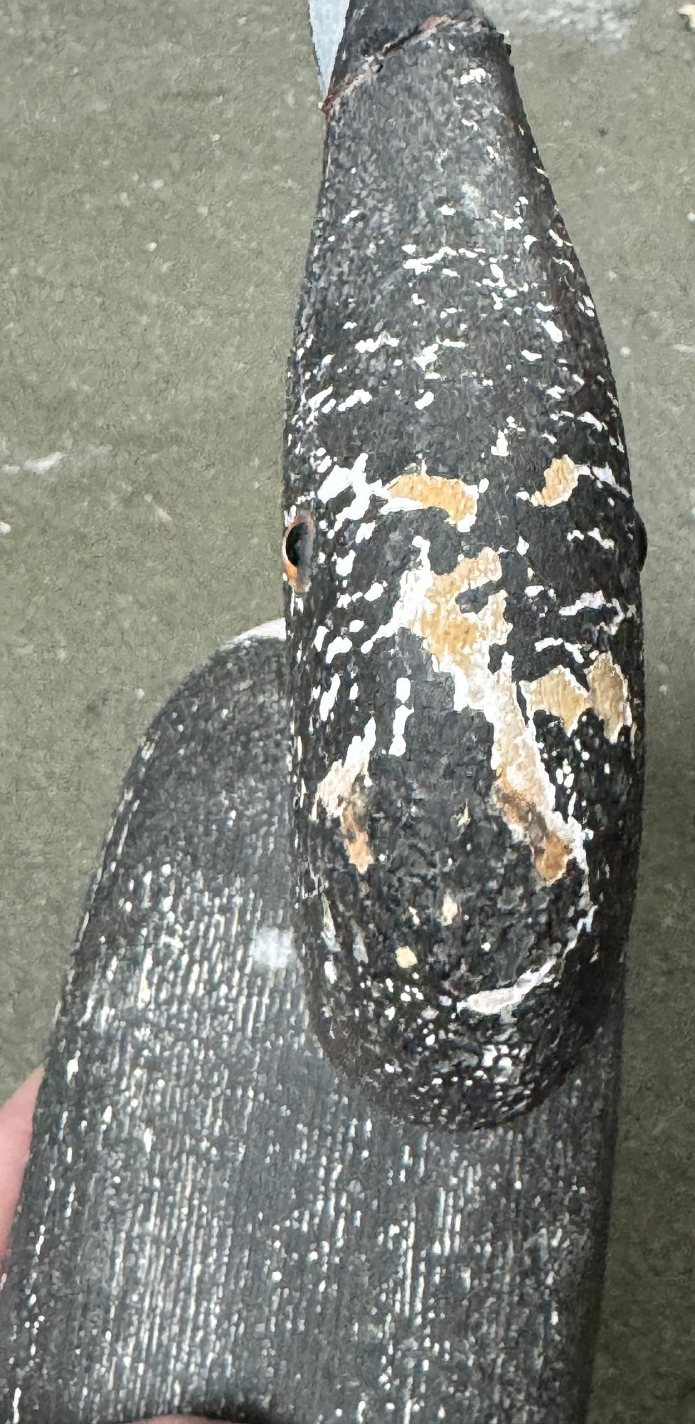 Wooden Decoy #2246265 | Auctionninja.com