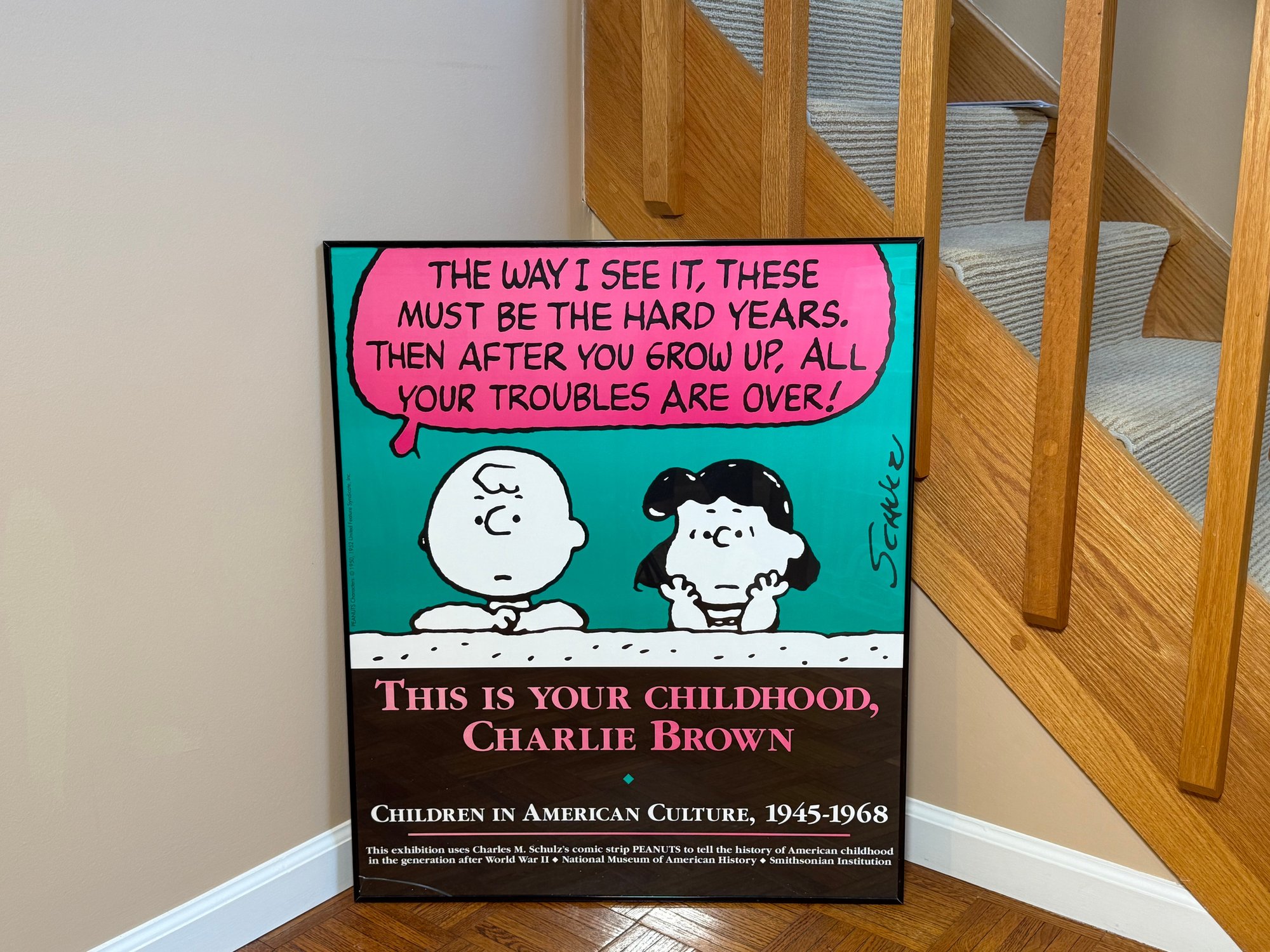 Original "This Is Your Childhood, Charlie Brown" Framed Exhibition ...