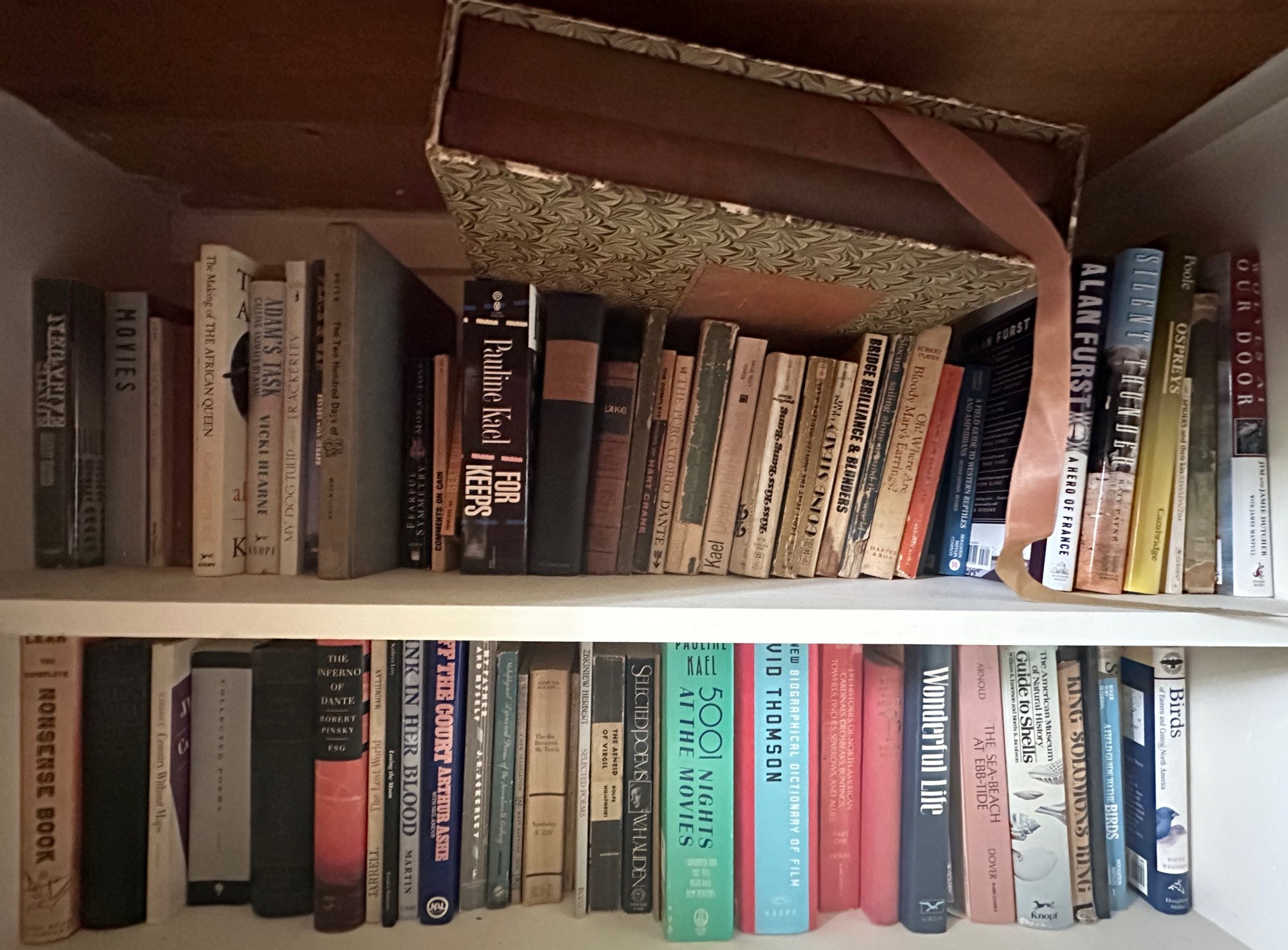 Over 60 Books Many Genres Including Nature #40801954 | Auctionninja.com