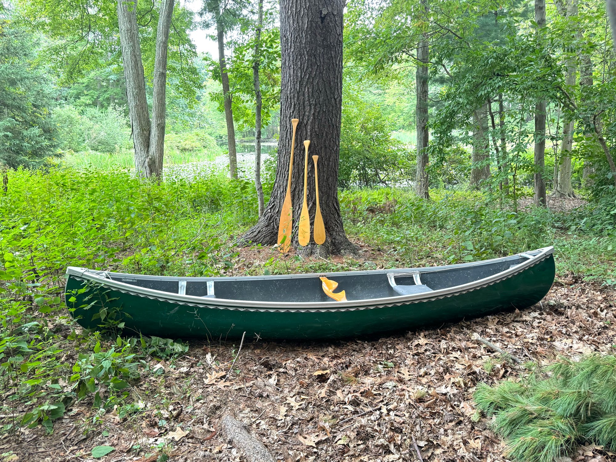 12 Foot Green Canoe With Paddles #1966778 | Auctionninja.com