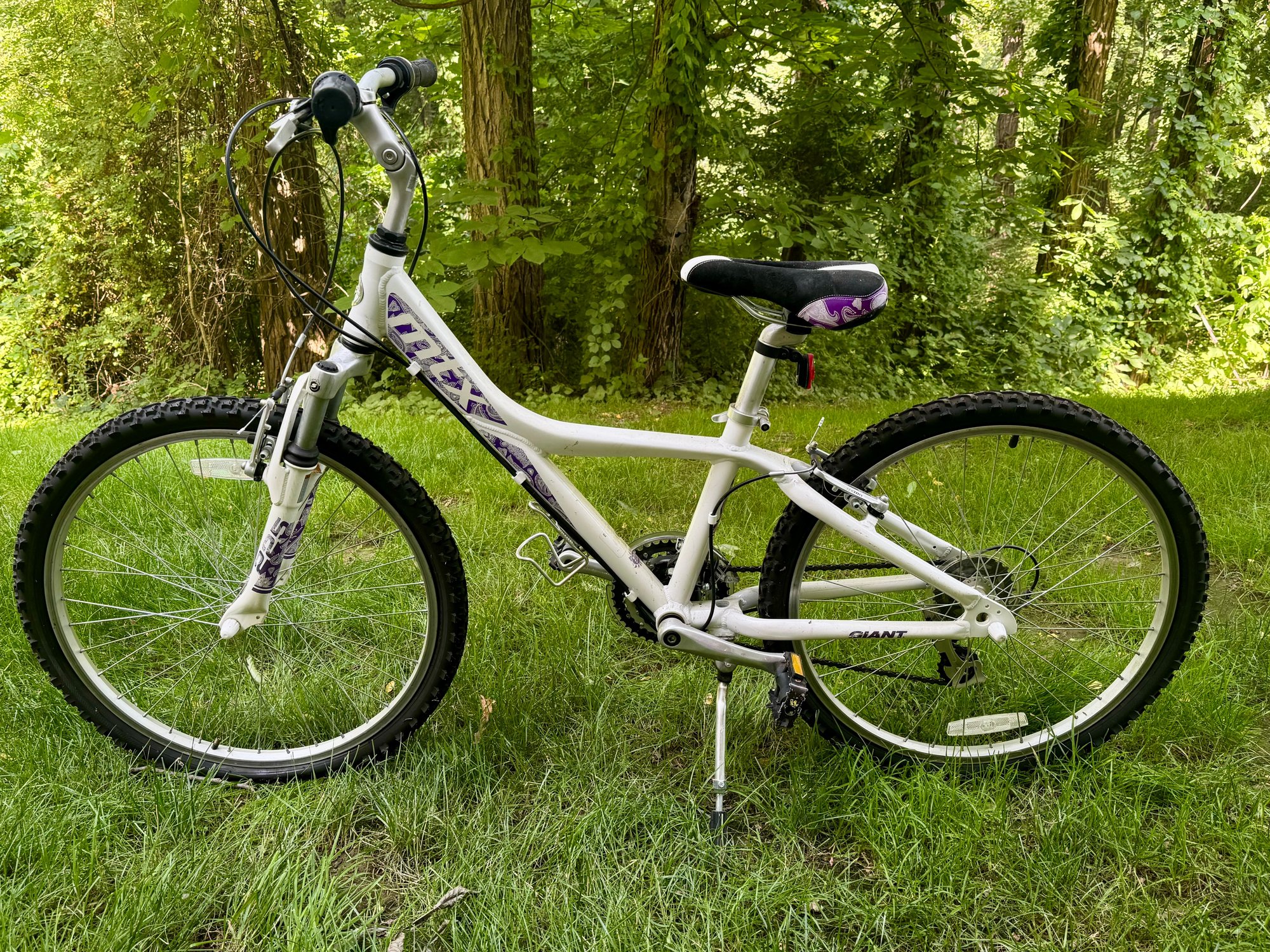 MTX 225 Bicycle #40849489 | Auctionninja.com