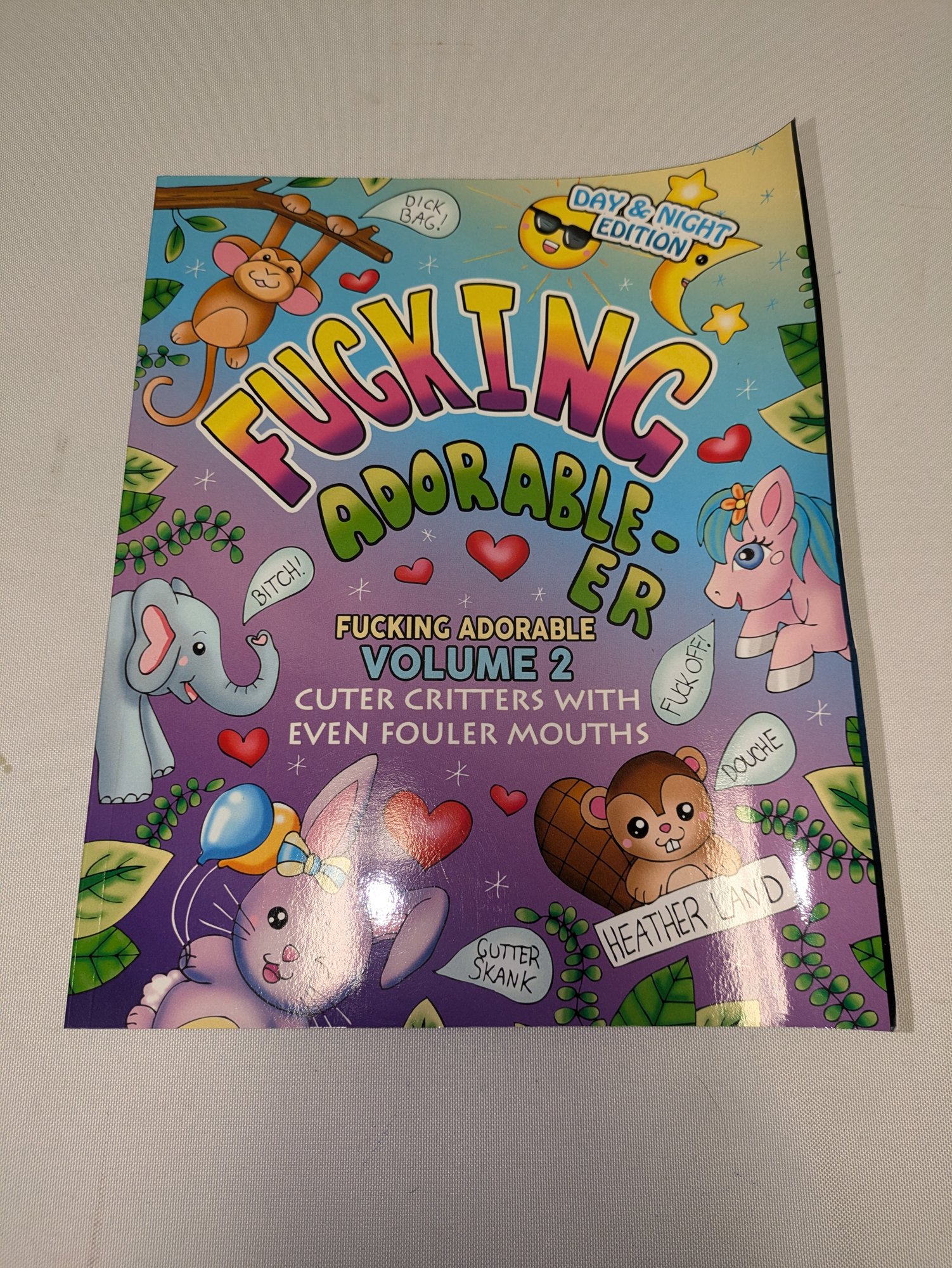 Day & Night Adults Only Coloring Book - Colorful Words And Phrases ...