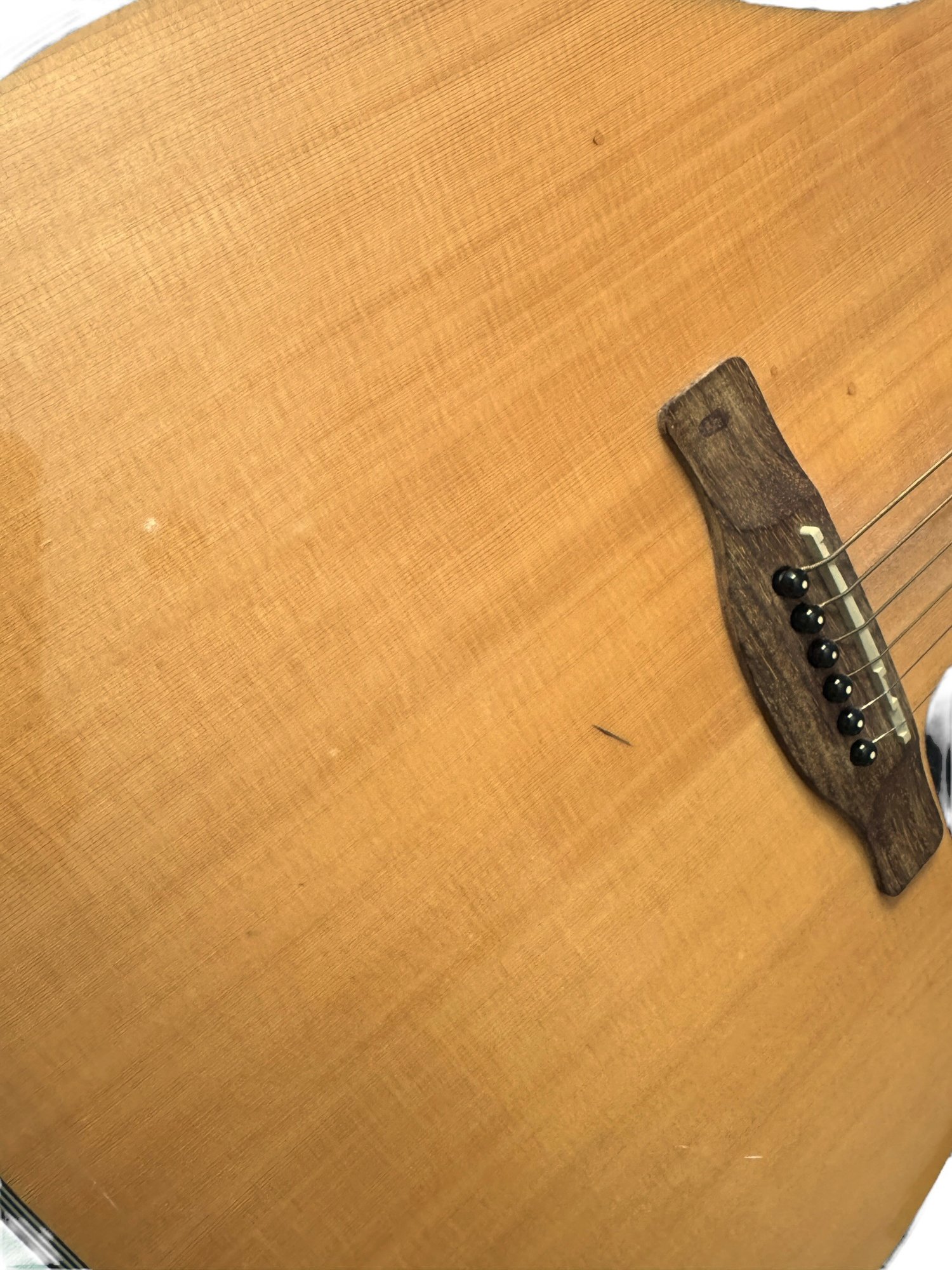 Fender Acoustical Guitar -Model DG85 #2151640 | Auctionninja.com