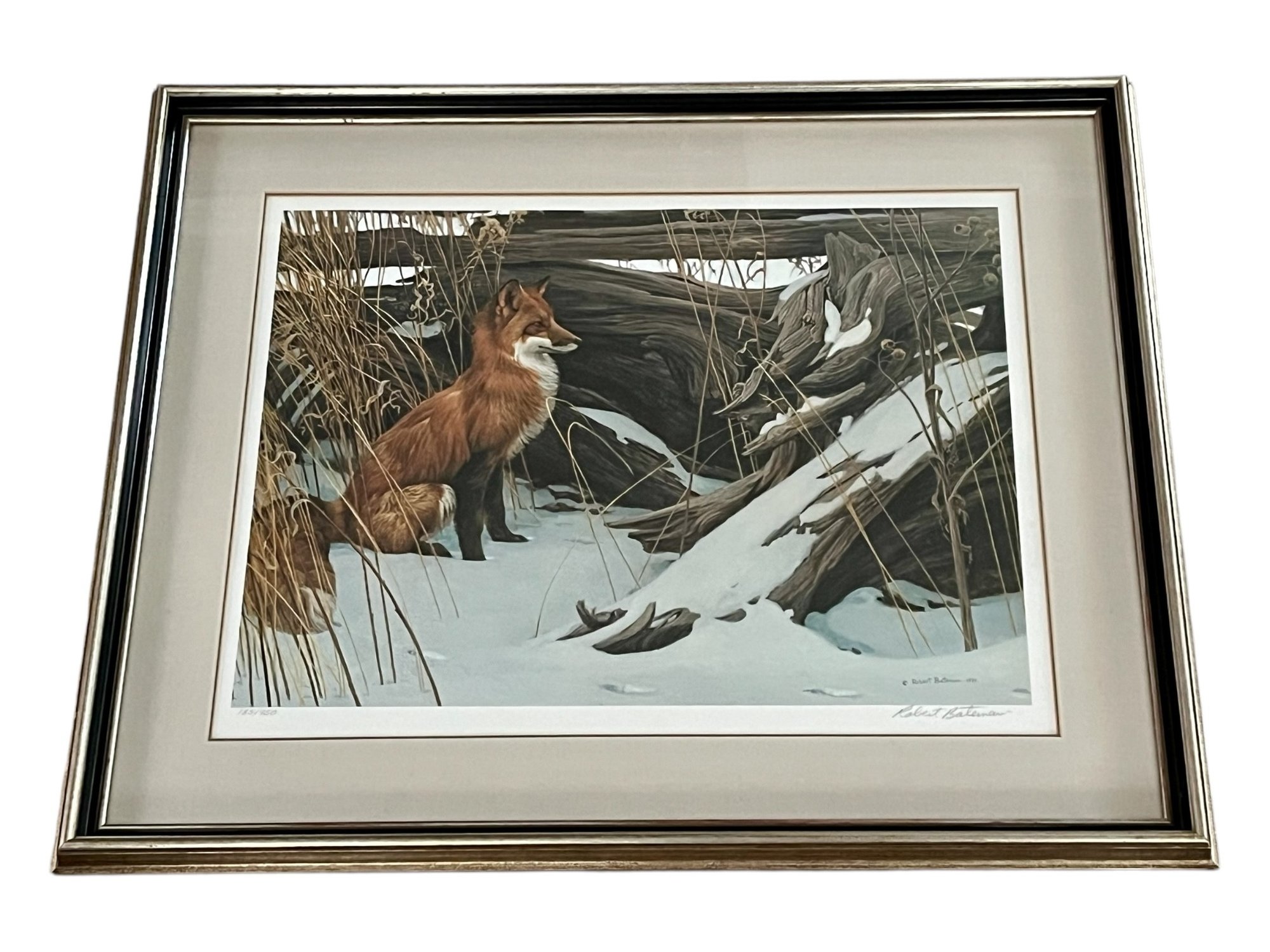 Listed Artist Robert Bateman Limited Edition Print "Wily And Weary ...