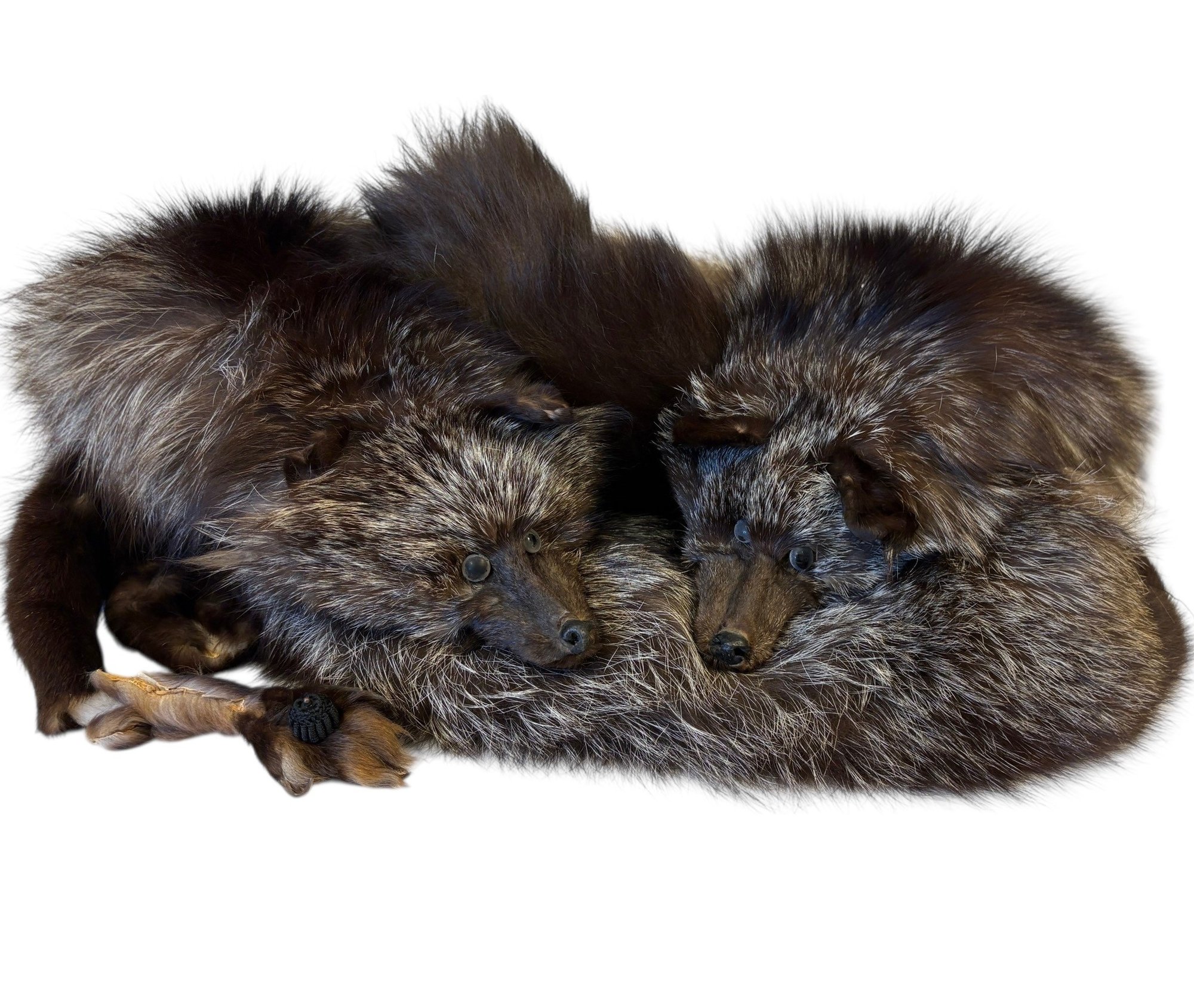 Antique 1920s Double Silver Fox Fur Piece #2205340 | Auctionninja.com
