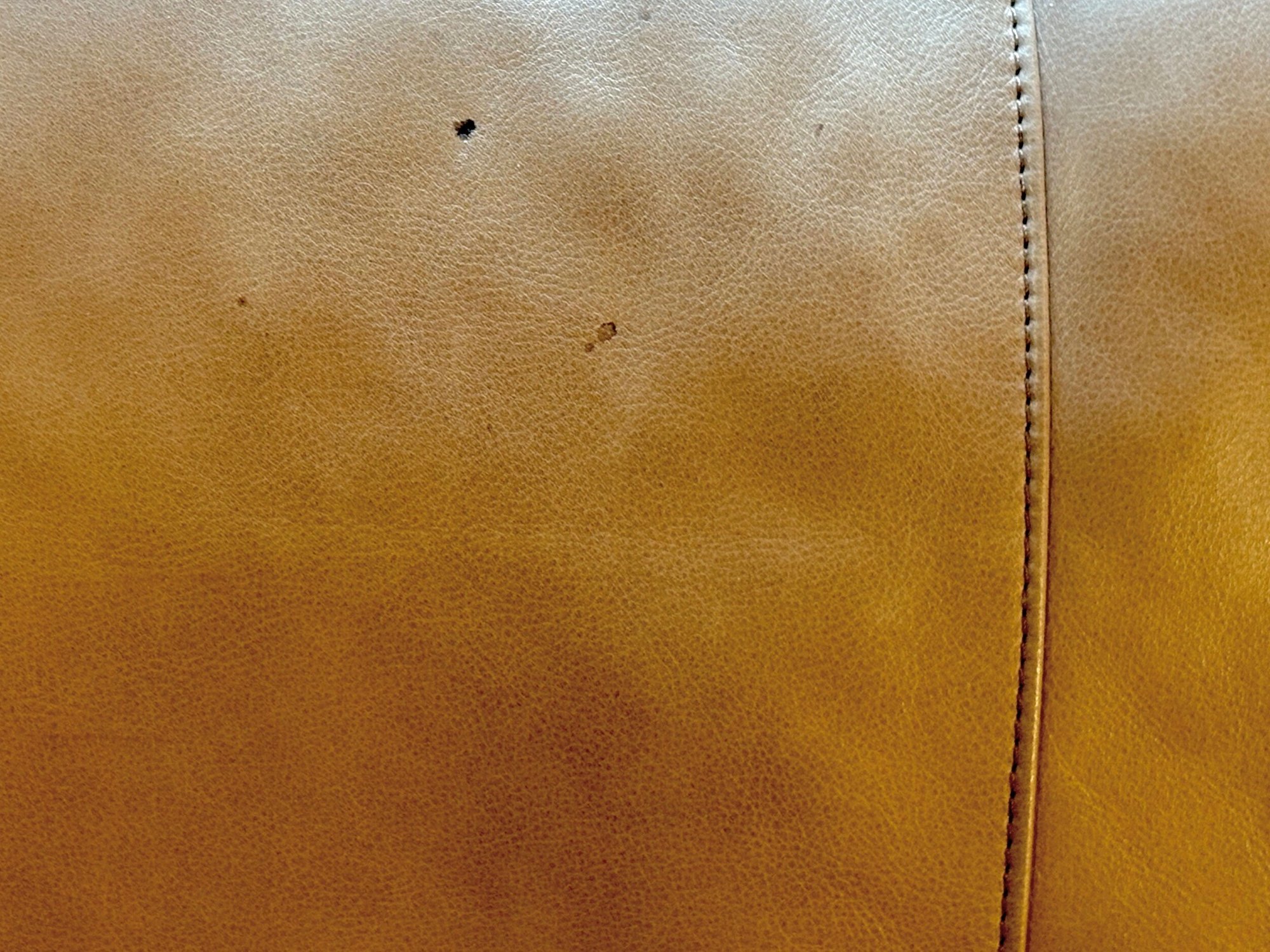 Camel Brown Leather Sofa With Rolled Arms & Nailhead Trim #2234344 ...