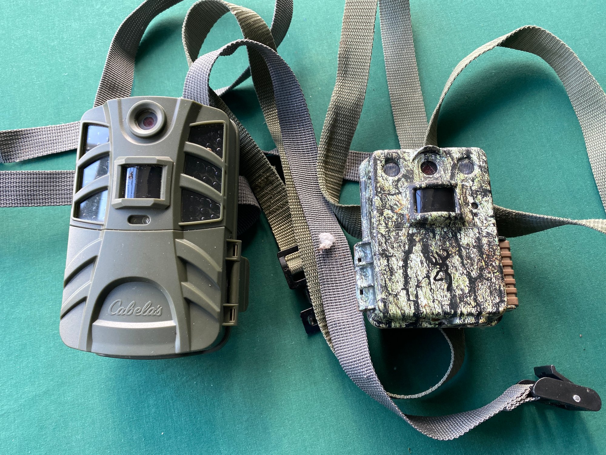 Two Trail Cameras Cabelas And Browning #1981964 | Auctionninja.com