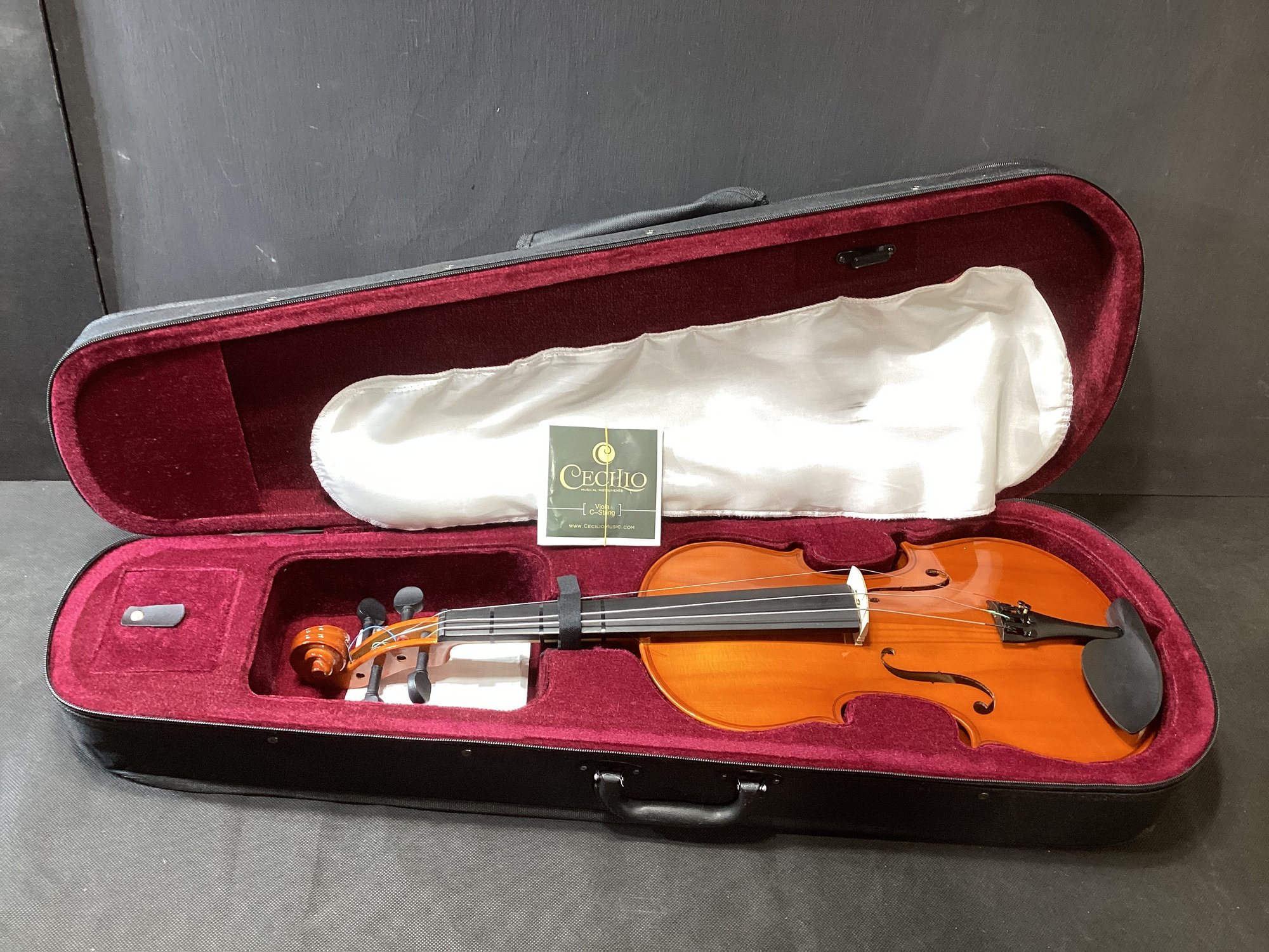 Mendini, By CECILIO, Violin, And Extra Strings With Case In Great Shape ...