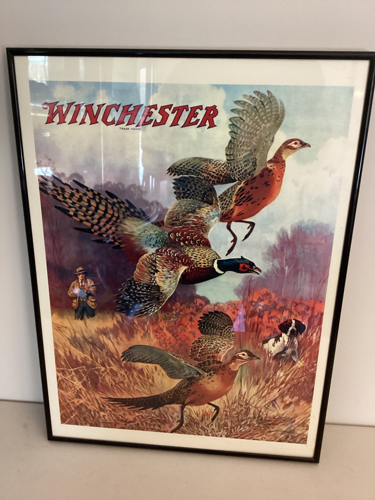 Vintage Winchester, Hunting Poster And Excellent Shape, Framed Under ...