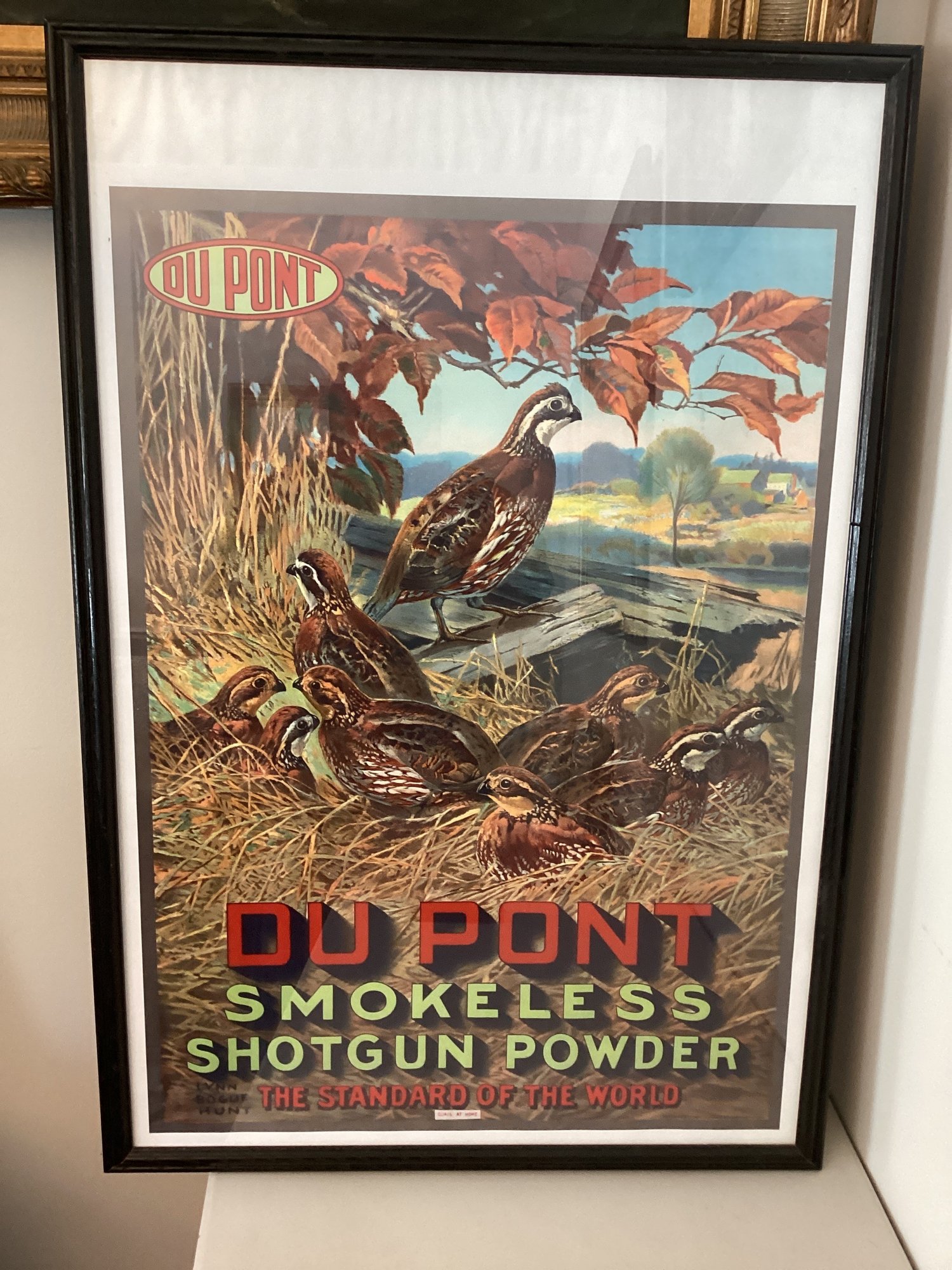 Super Nice Clean Large Poster, Of A Cubby Of Quail, Great Shape, Framed ...