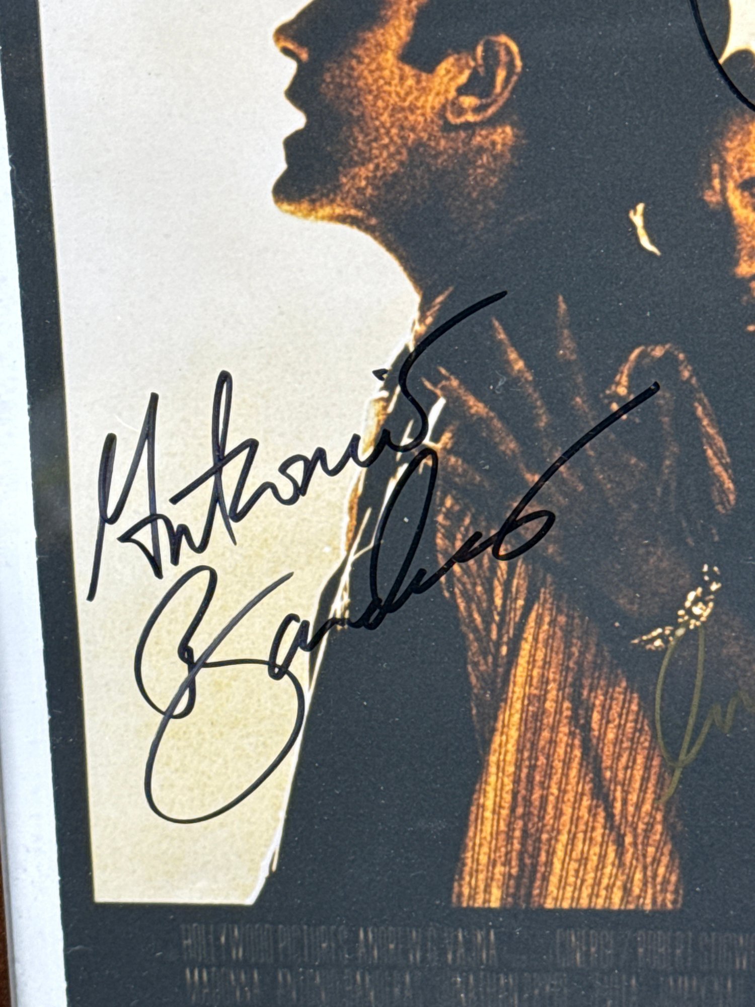 Antonio Banderas Madonna & Jonathan Pryce Autographed Promotional Photo ...