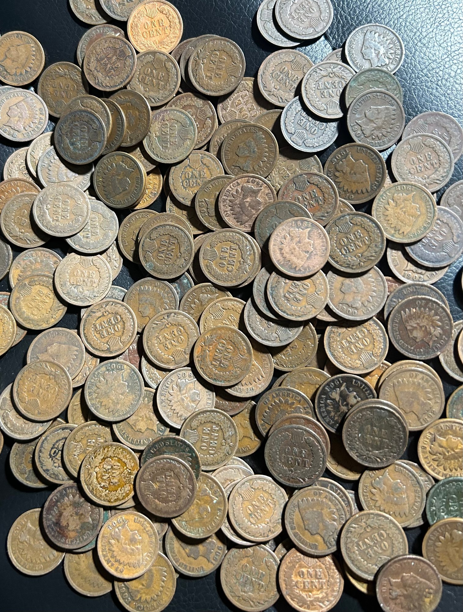 200 Indian Head Cents - Average Circulated #1200 | Auctionninja.com