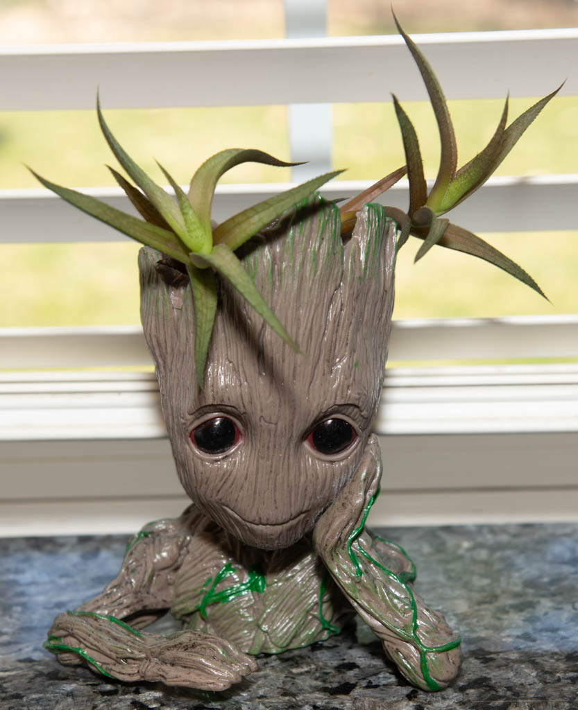 Marvel Guardians Of The Galaxy Baby Groot Succulent Flower Pot Plastic ...