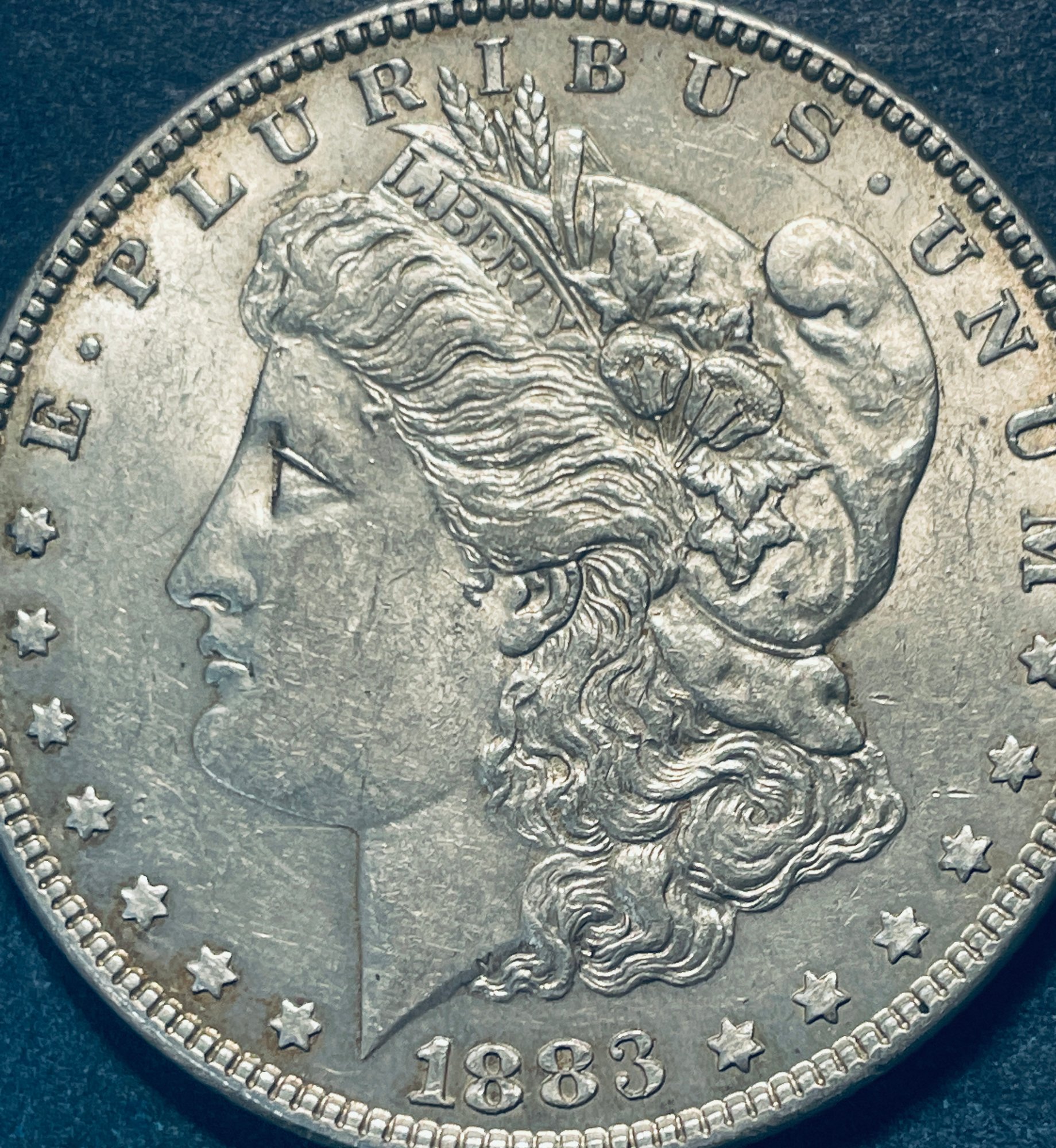 1883 MORGAN SILVER DOLLAR COIN - UNCIRCULATED! #9131 | Auctionninja.com