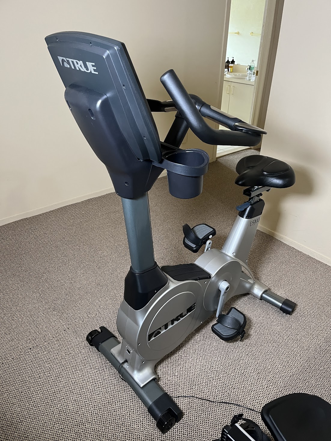 True Brand ES900 Exercise Bike #9486 | Auctionninja.com