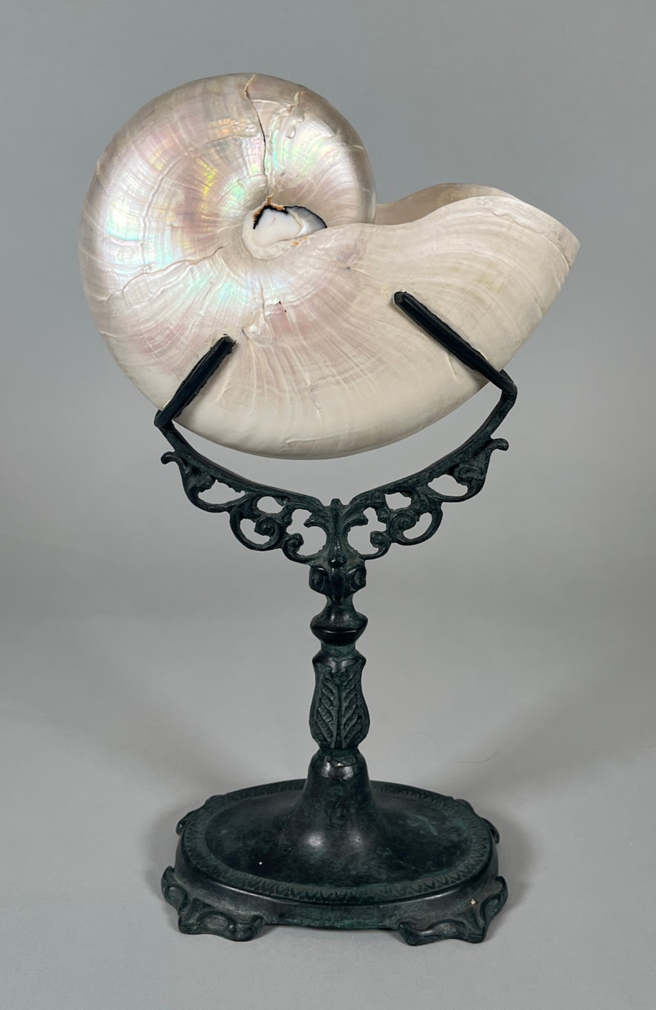 Maitland Smith Nautilus Shell Mounted On Bronze Base #12917 ...