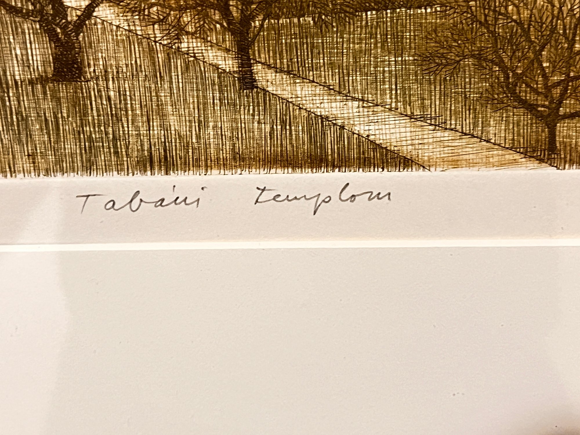 VINTAGE FRAMED CITYSCAPE ETCHING BY HUNGARIAN ARTIST GAAL DOMOKOS - 25 ...