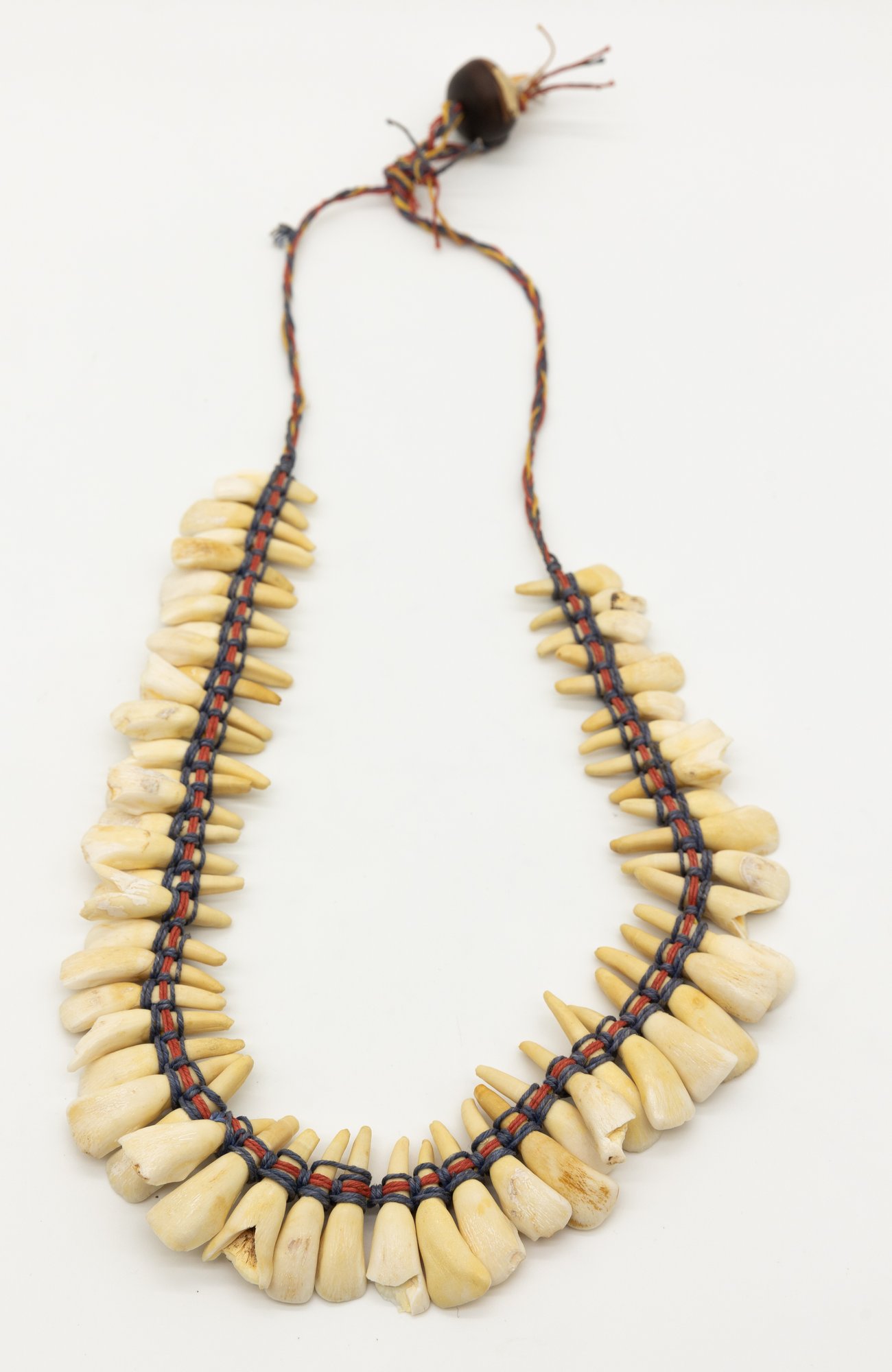 Antique Buffalo Teeth Necklace Native American 20th Century #14403 ...
