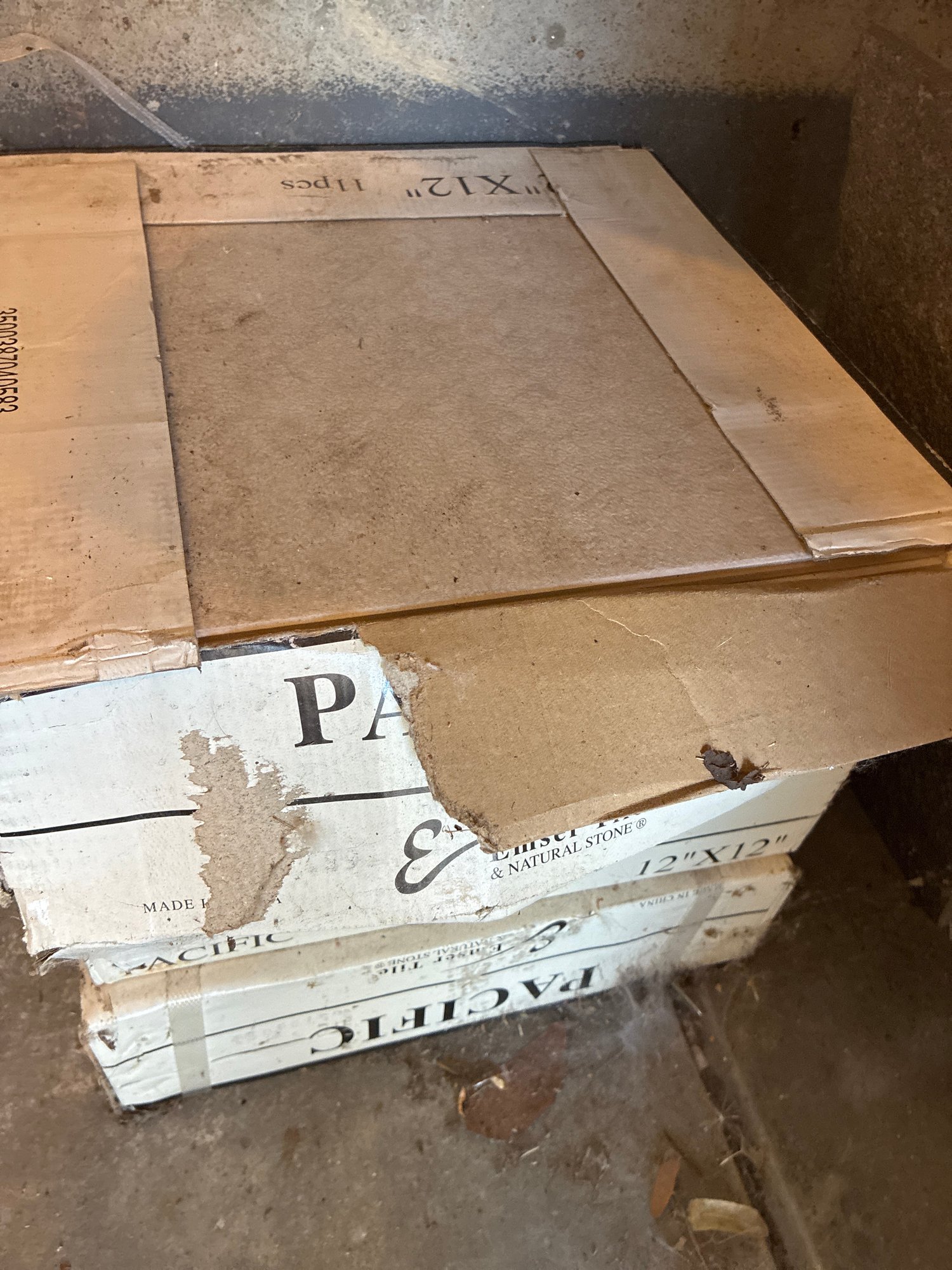 12x12 Emser Tile & Natural Stone, Each Box Consist Of 11pcs #75752 ...