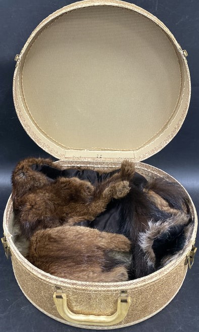 (3) Vintage Fur Stole With It's Round Case #67251 | Auctionninja.com